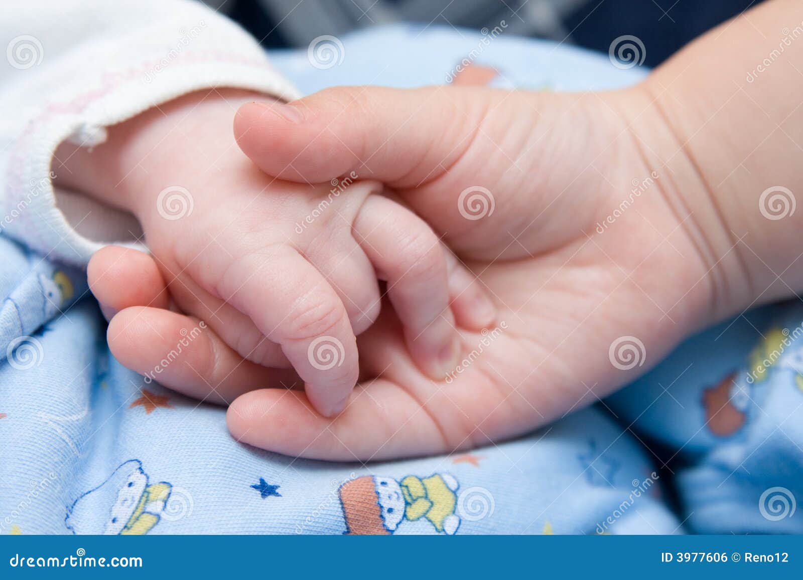 Little hands stock photo. Image of brothers, newborn, little - 3977606