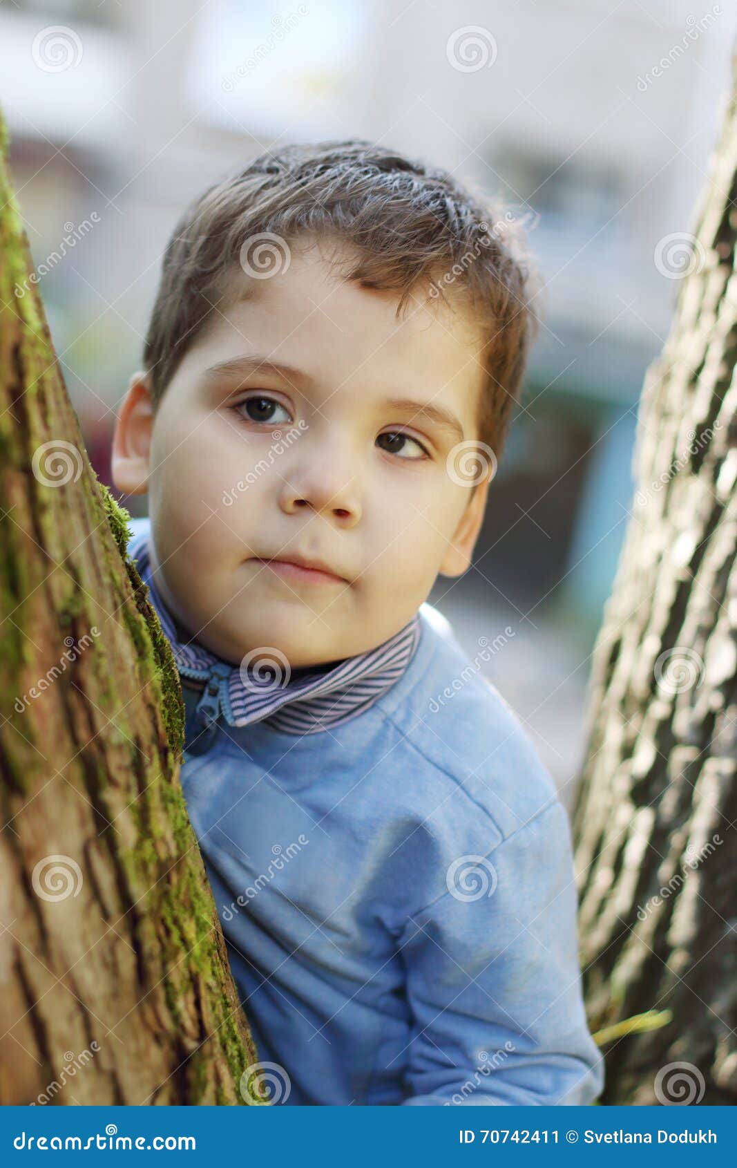 Little Handsome Boy in Blue Stands among Trees Stock Image - Image of ...