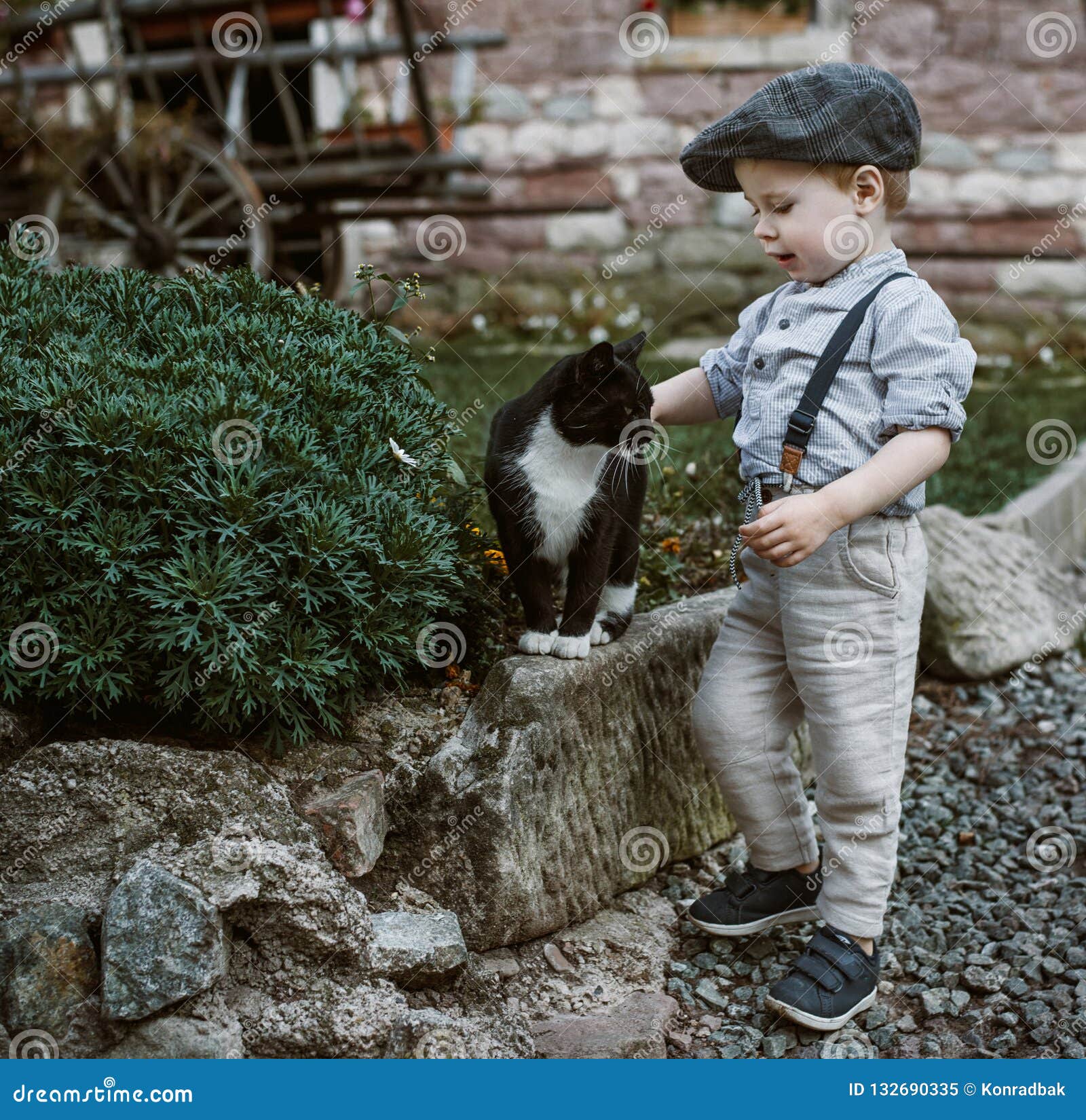 Little Handsome Boy Stroking a Cat Stock Image - Image of male ...