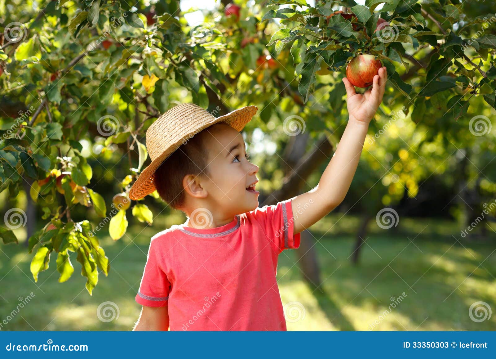 Little Happy Boy Touching Apple Stock Image - Image of hands, autumn ...