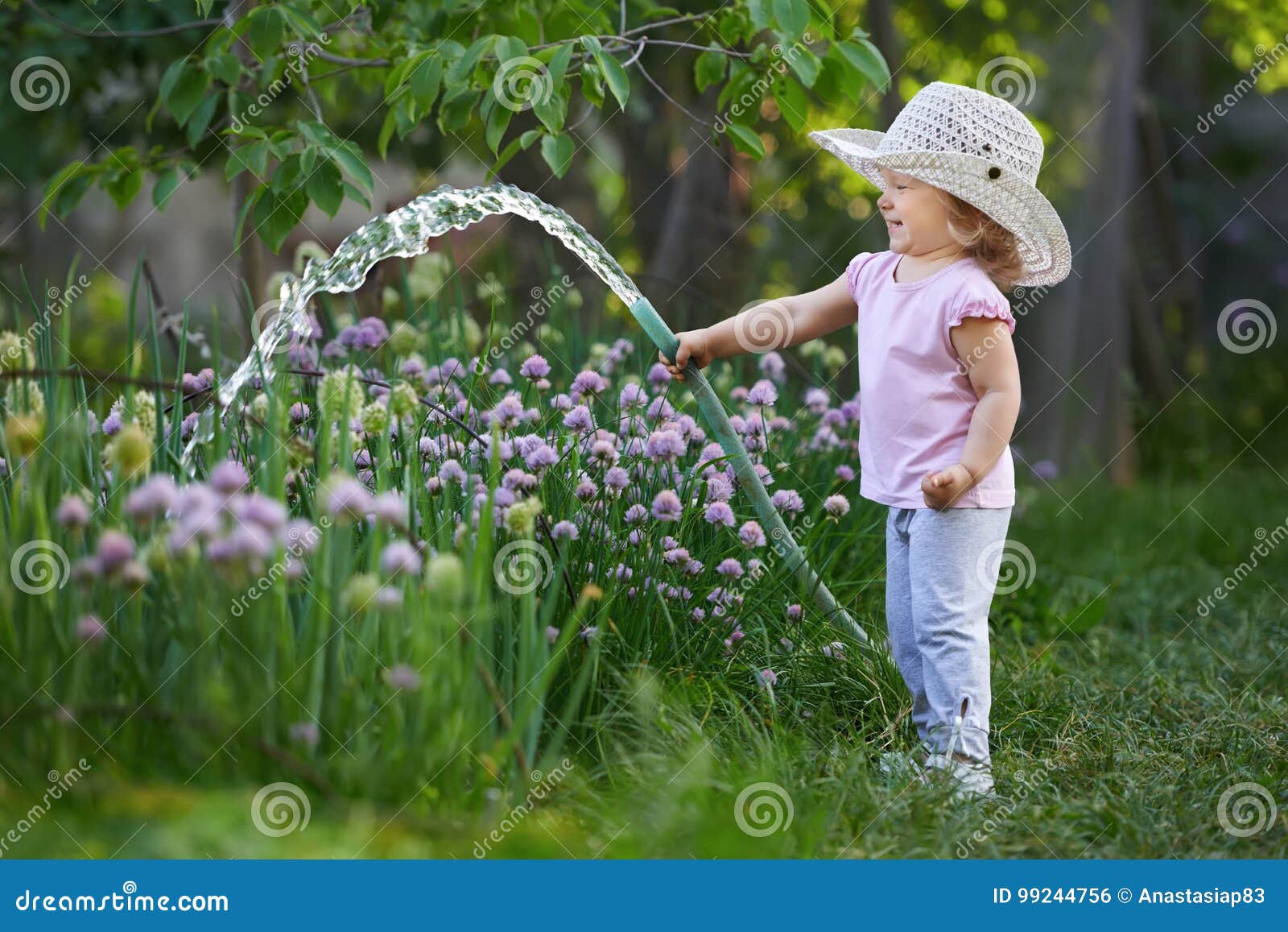 Little Happy Gardener Watering Onions Stock Photo - Image of girl ...