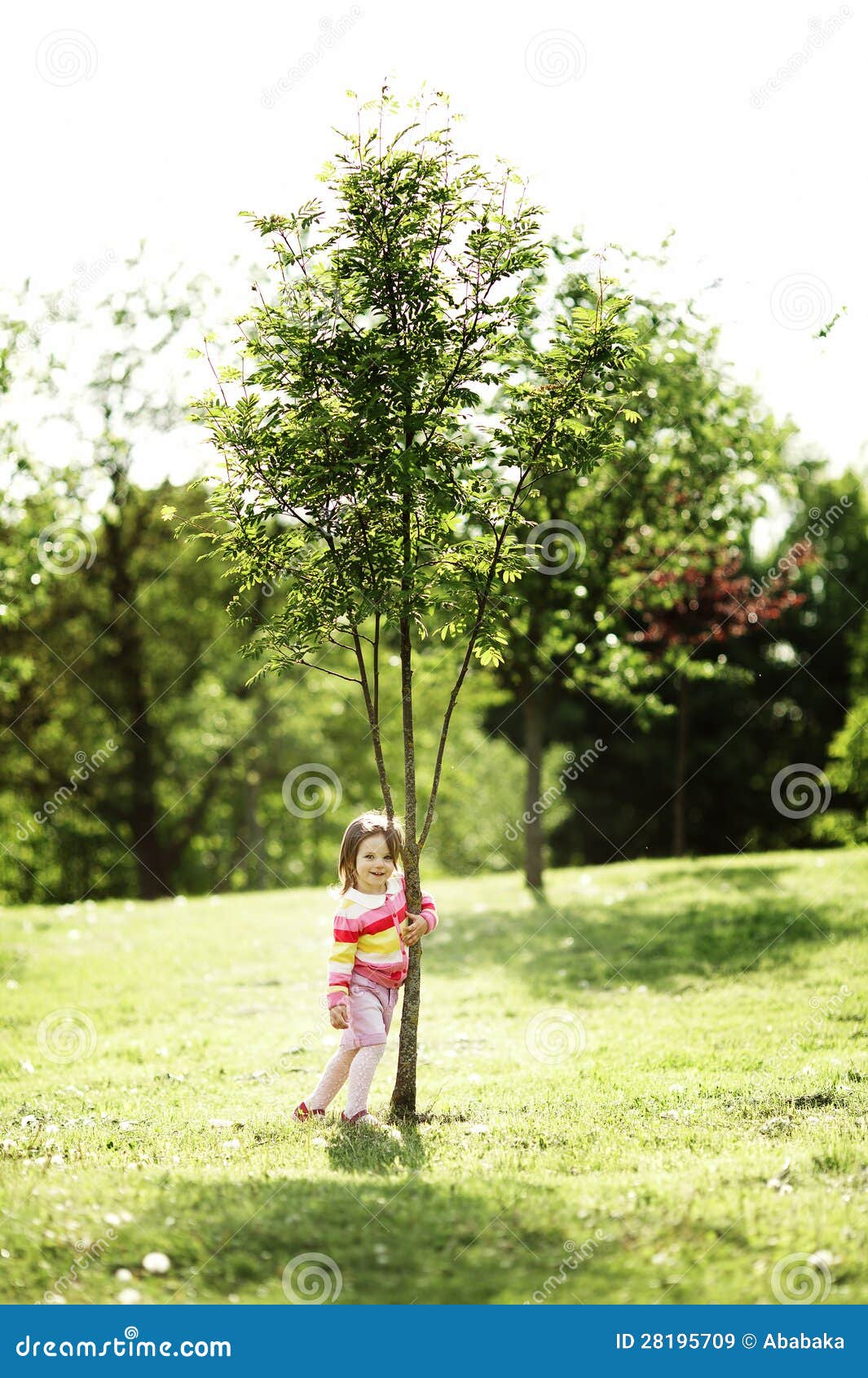 Little Happy Girl Near the Tree Stock Image - Image of outdoor ...