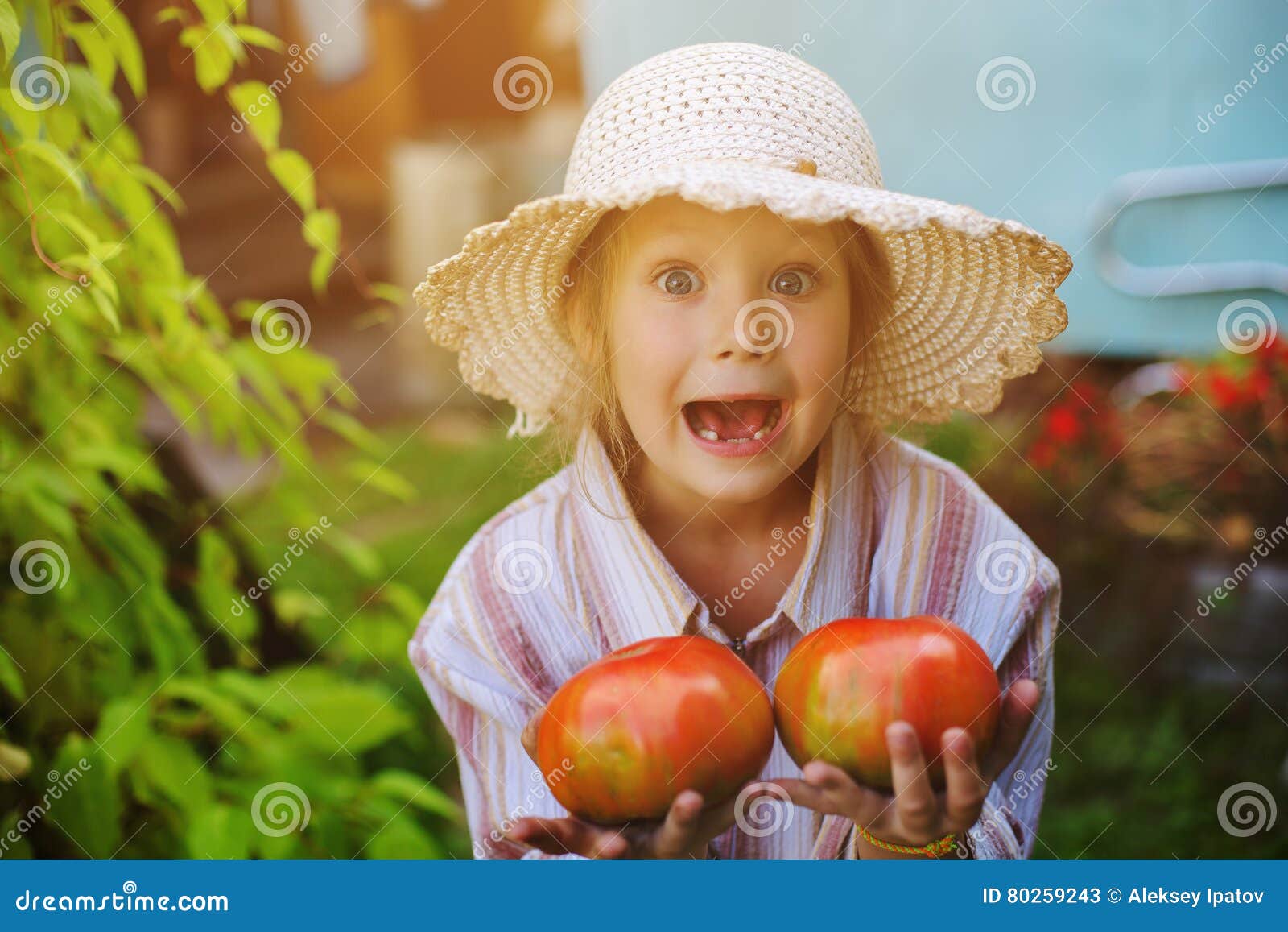 Little Happy Girl with Tomato Stock Image - Image of autumn, plants ...
