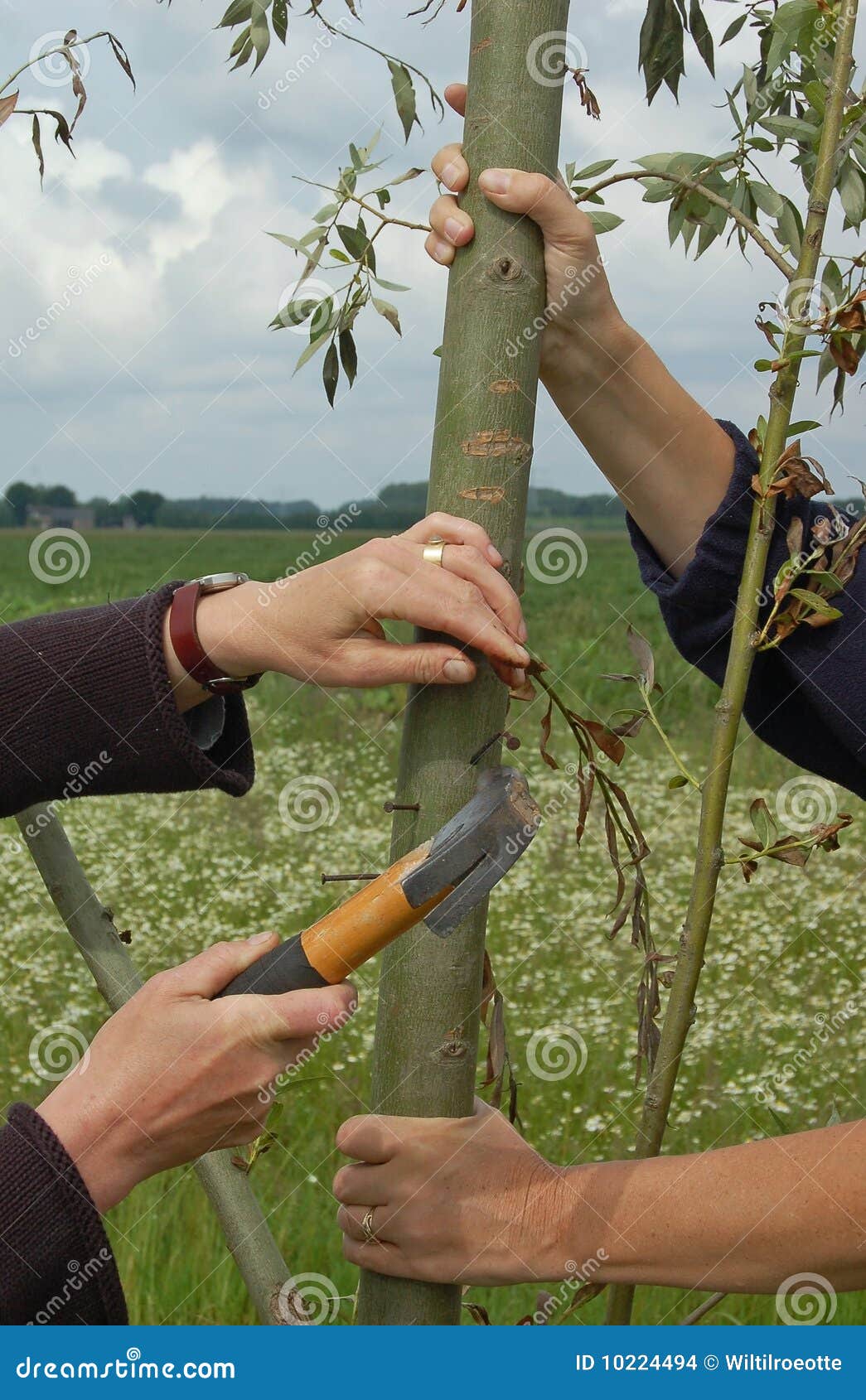 A Little Help For Keeping Things Tidy. Adorable Tidy Schoolgirls In ...