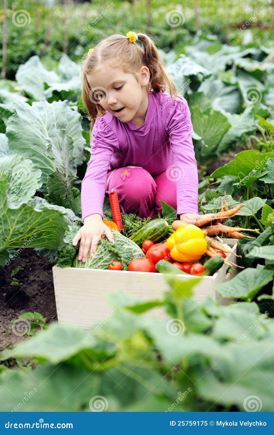 Little helper stock image. Image of kitchen, cucumber - 25759175
