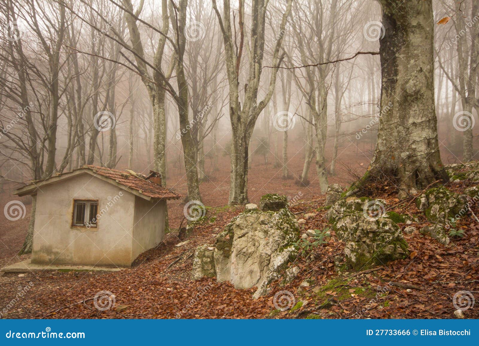 Little house in the forest stock photo. Image of ground - 27733666