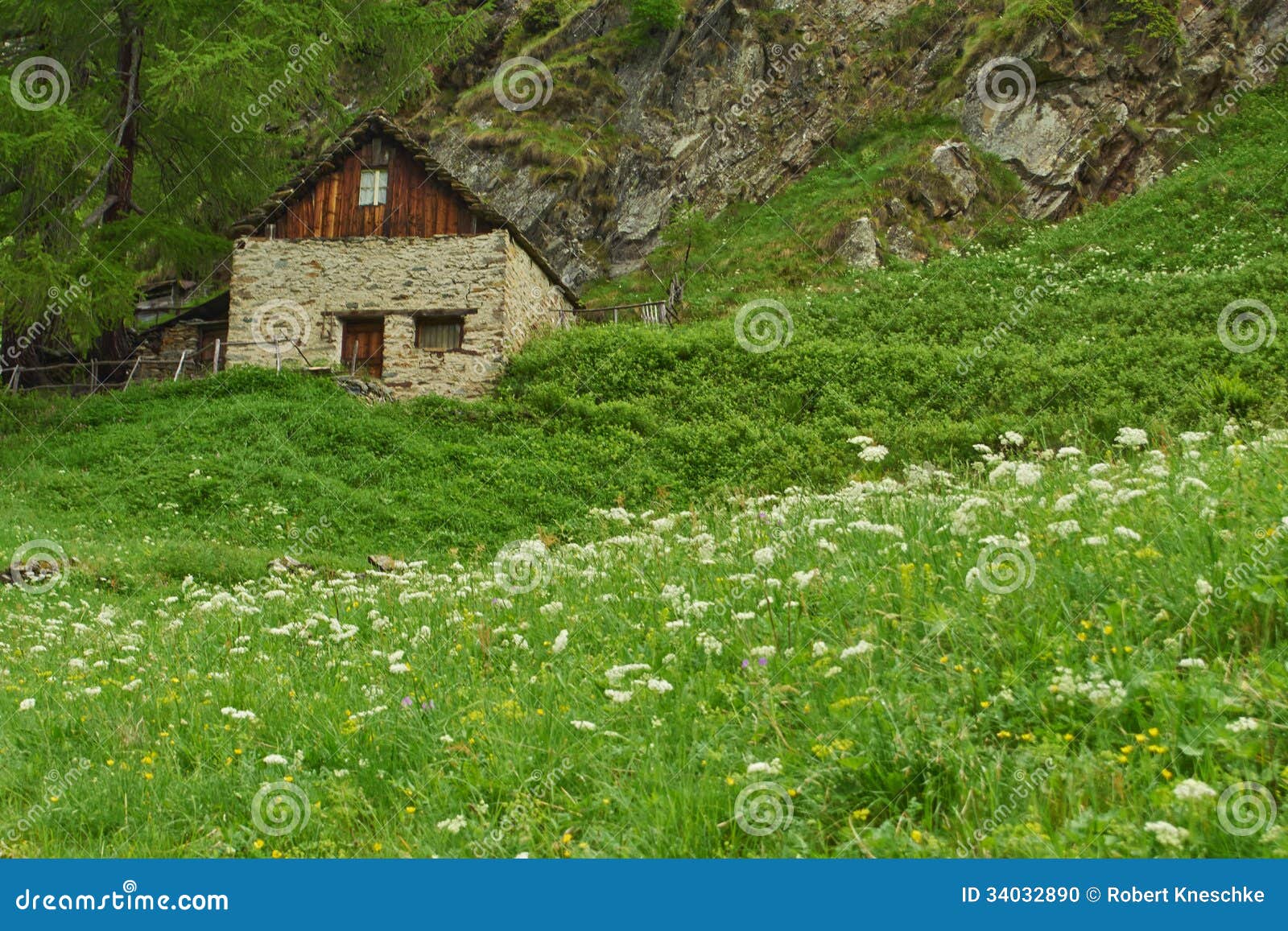 Little house in the forest stock photo. Image of background - 34032890