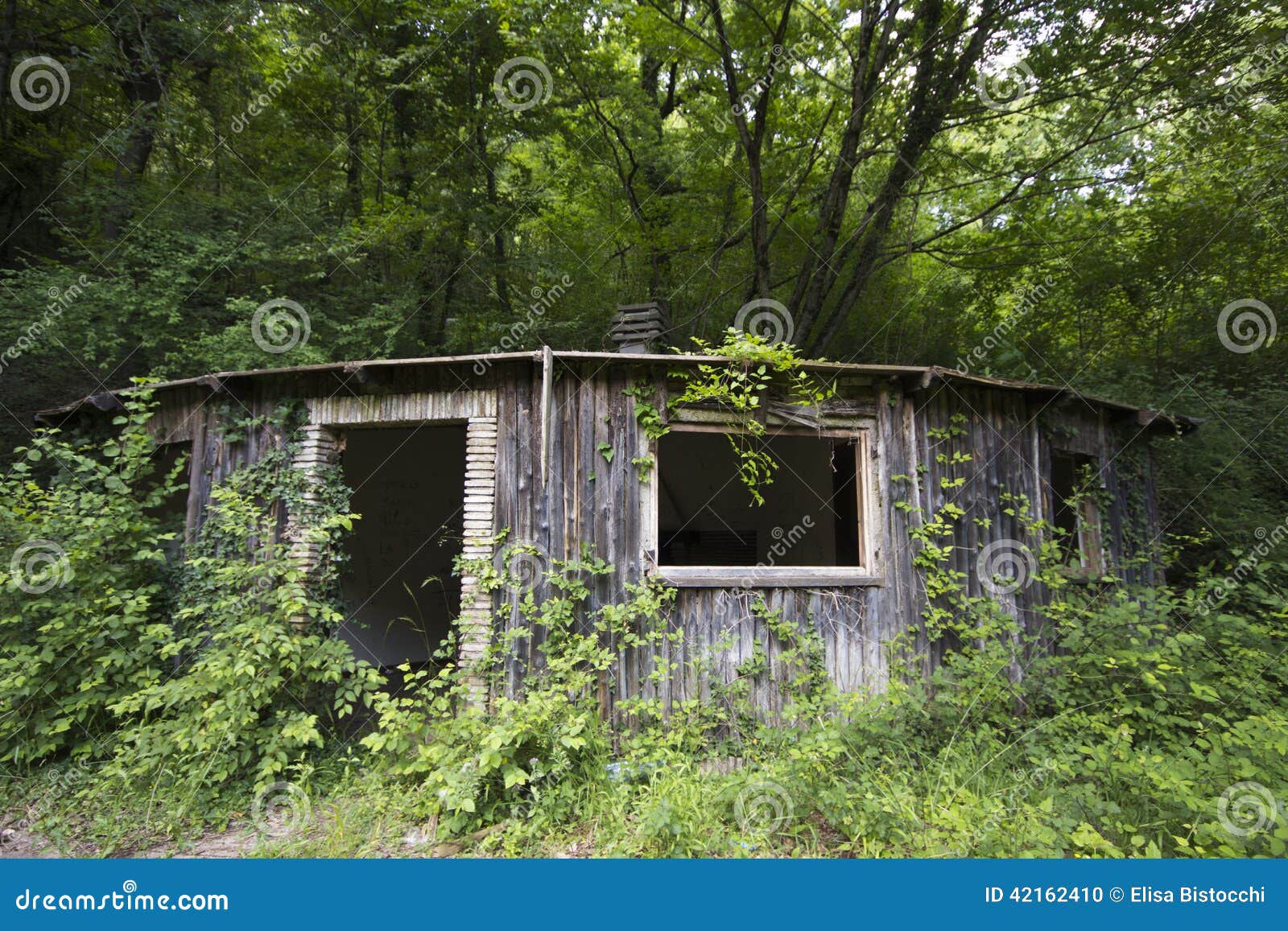 Little house in the forest stock photo. Image of home - 42162410