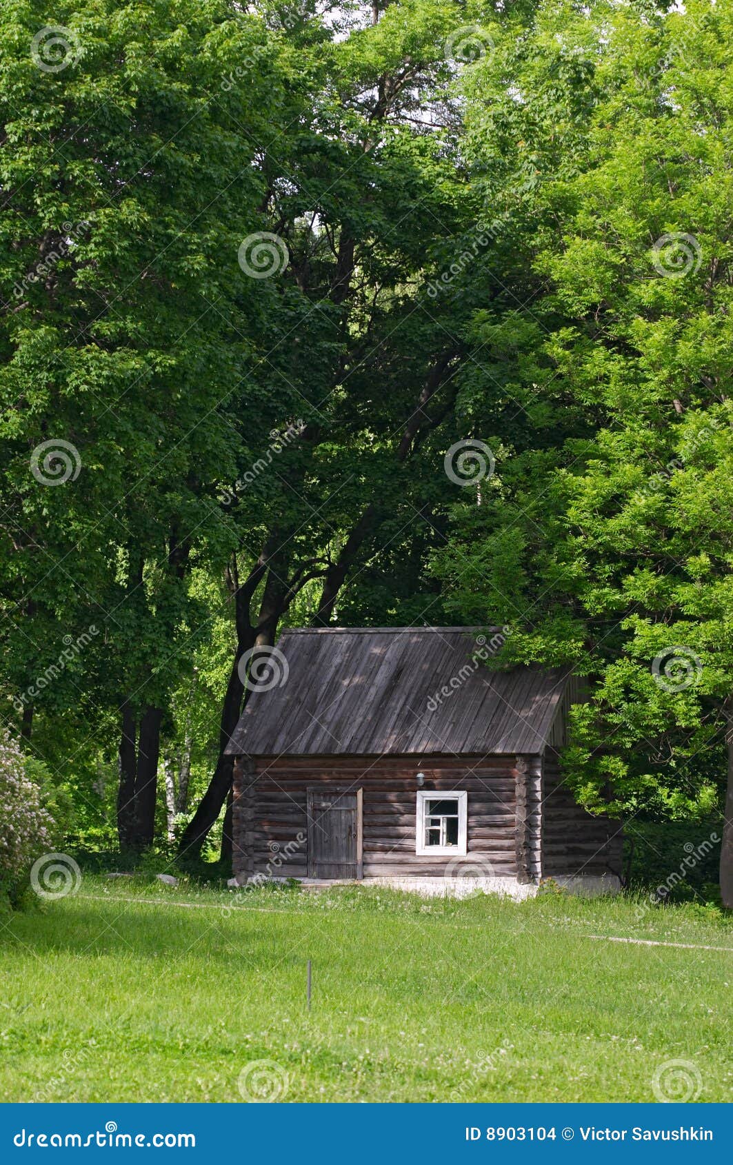 Little house with trees stock photo. Image of home, abstract - 8903104