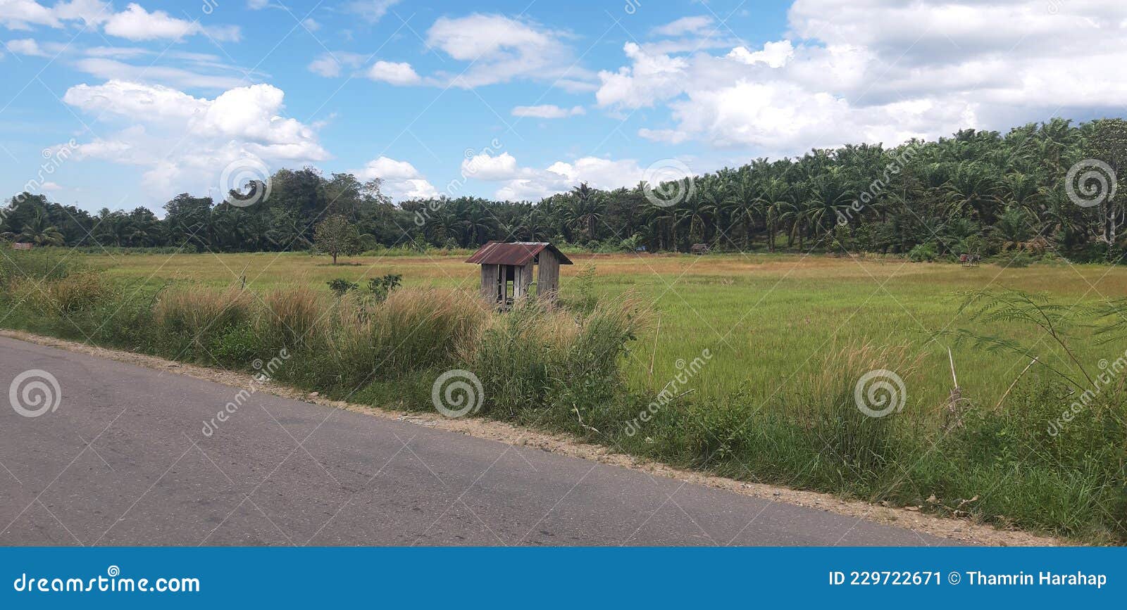 Little hut in empty field stock image. Image of little - 229722671