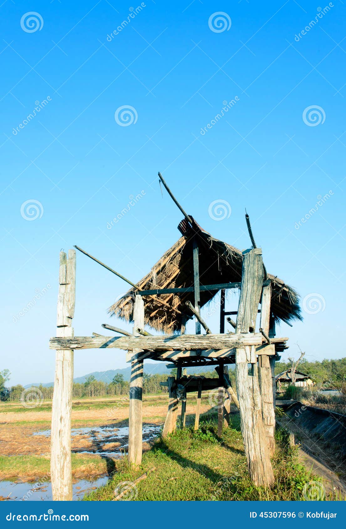 Little Hut on Farm land stock photo. Image of green, cultivated - 45307596
