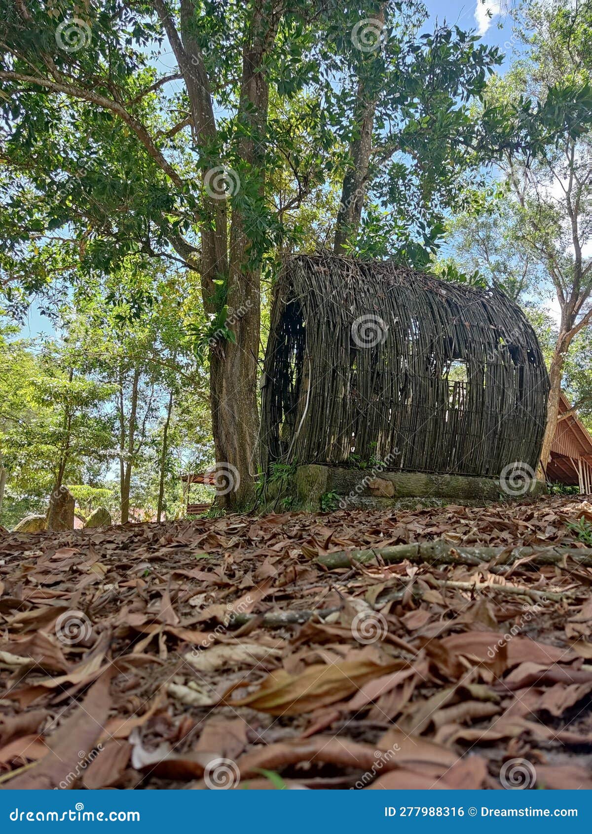 Little hut in the forest stock photo. Image of little - 277988316
