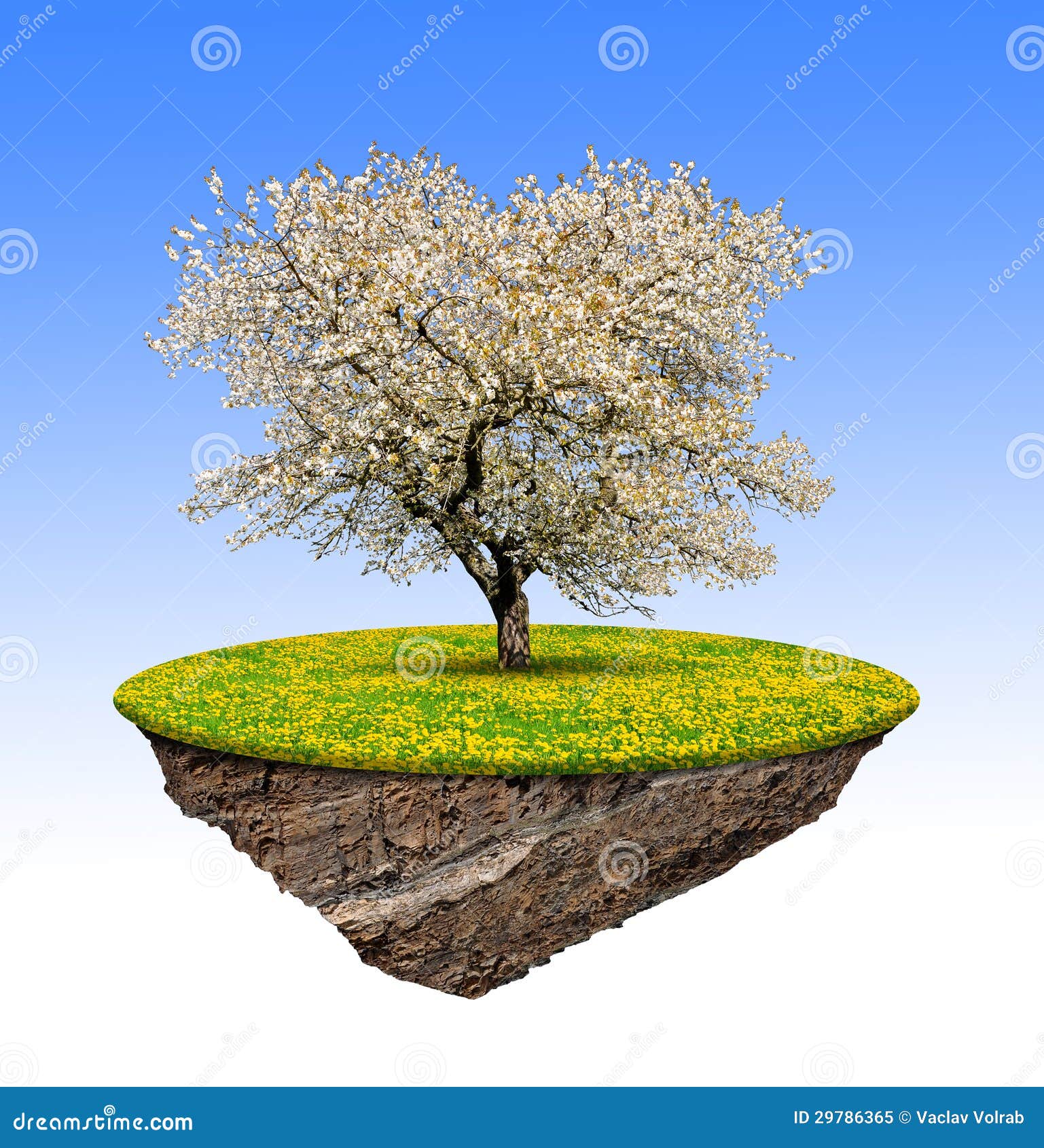 Spring tree stock image. Image of growth, nature, little - 29786365