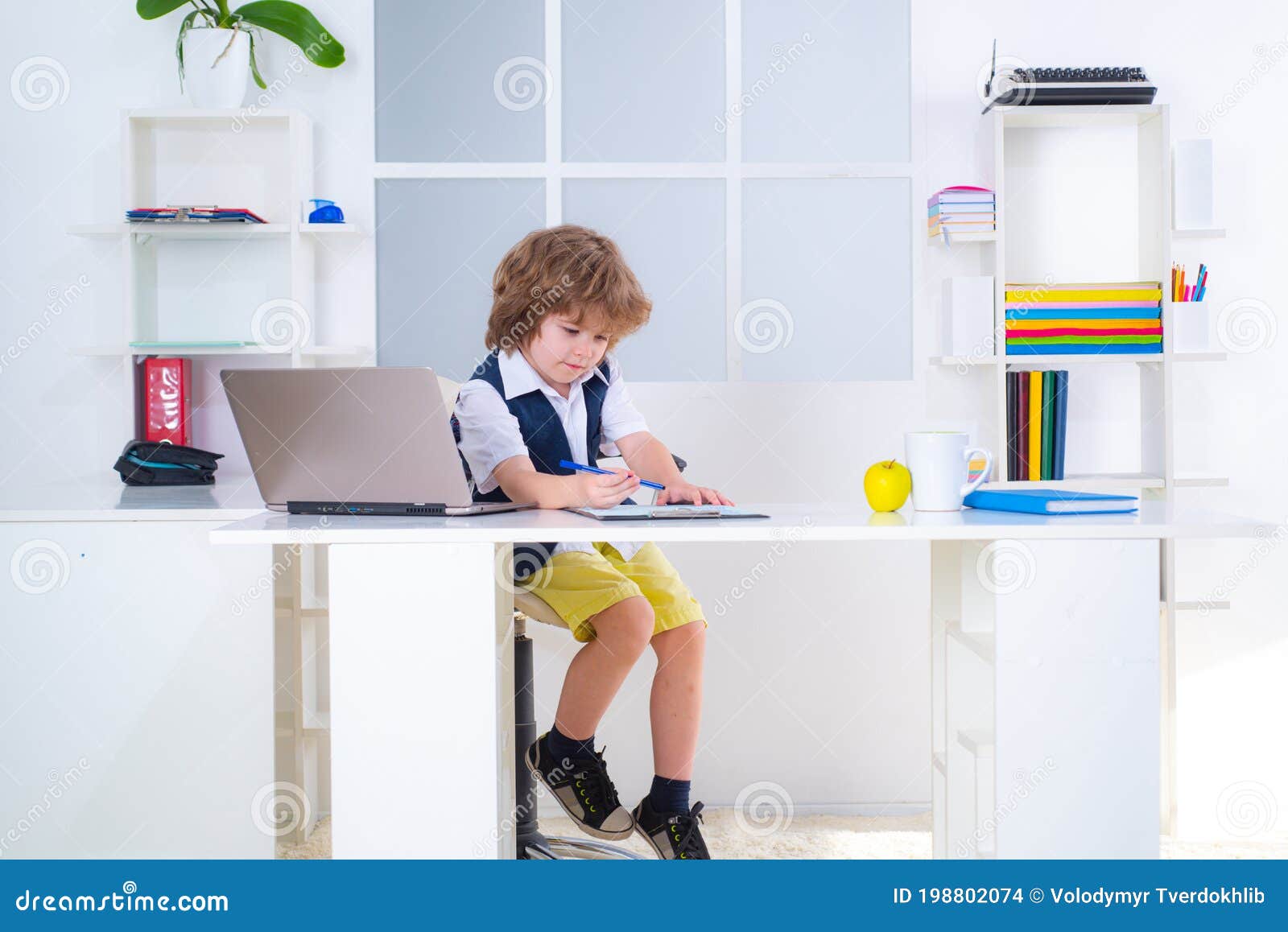 Little Kid Boy Businessman Entrepreneur Using Computer Looking at ...