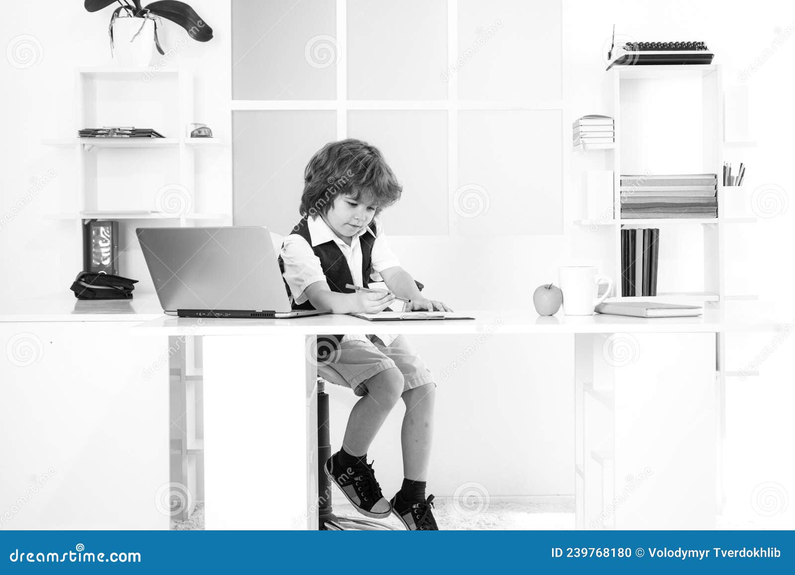 Little Kid Boy Businessman Entrepreneur Using Computer Looking at ...