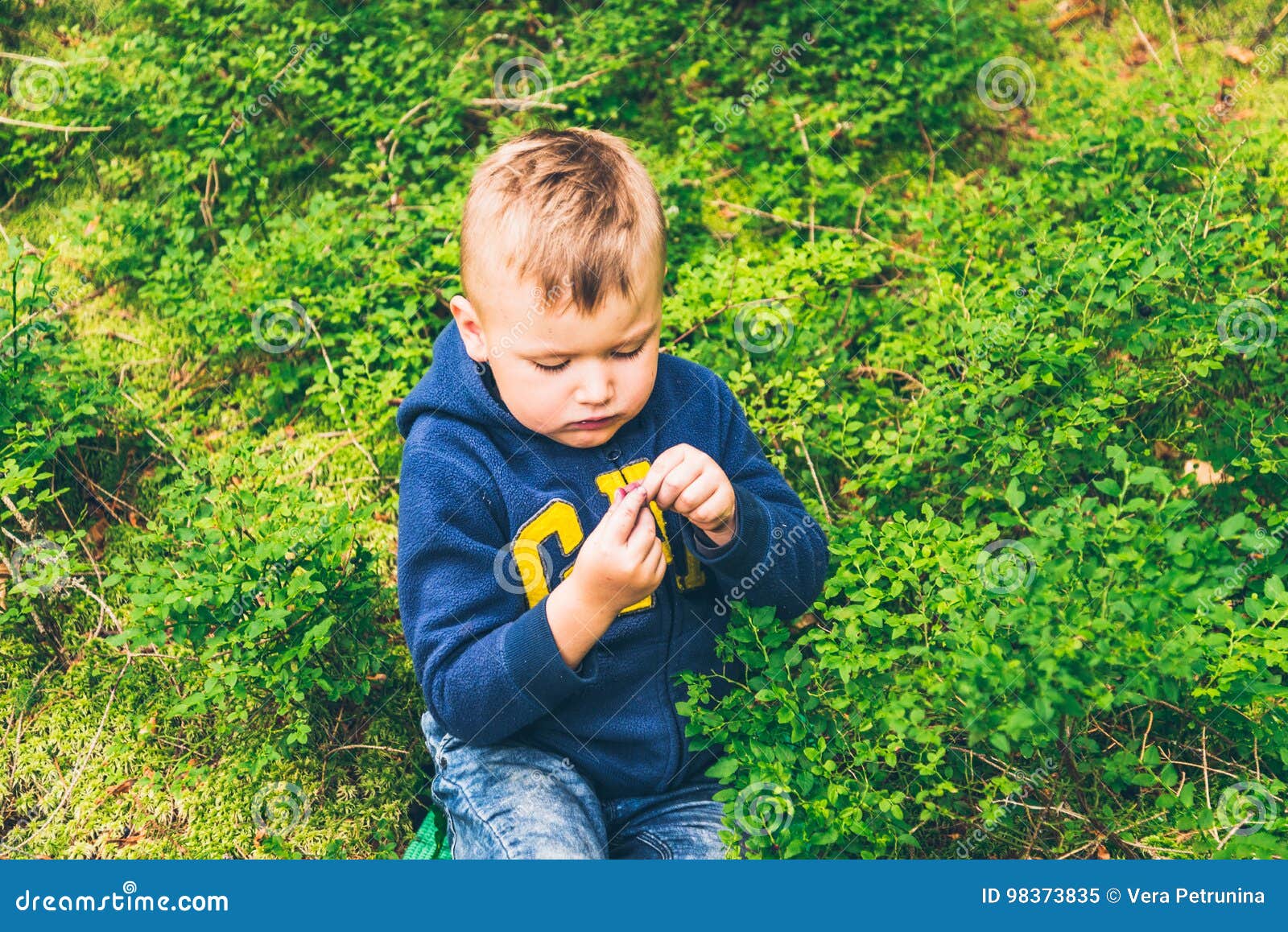Little Kid Eat Blueberry in the Forest Stock Image - Image of childhood ...