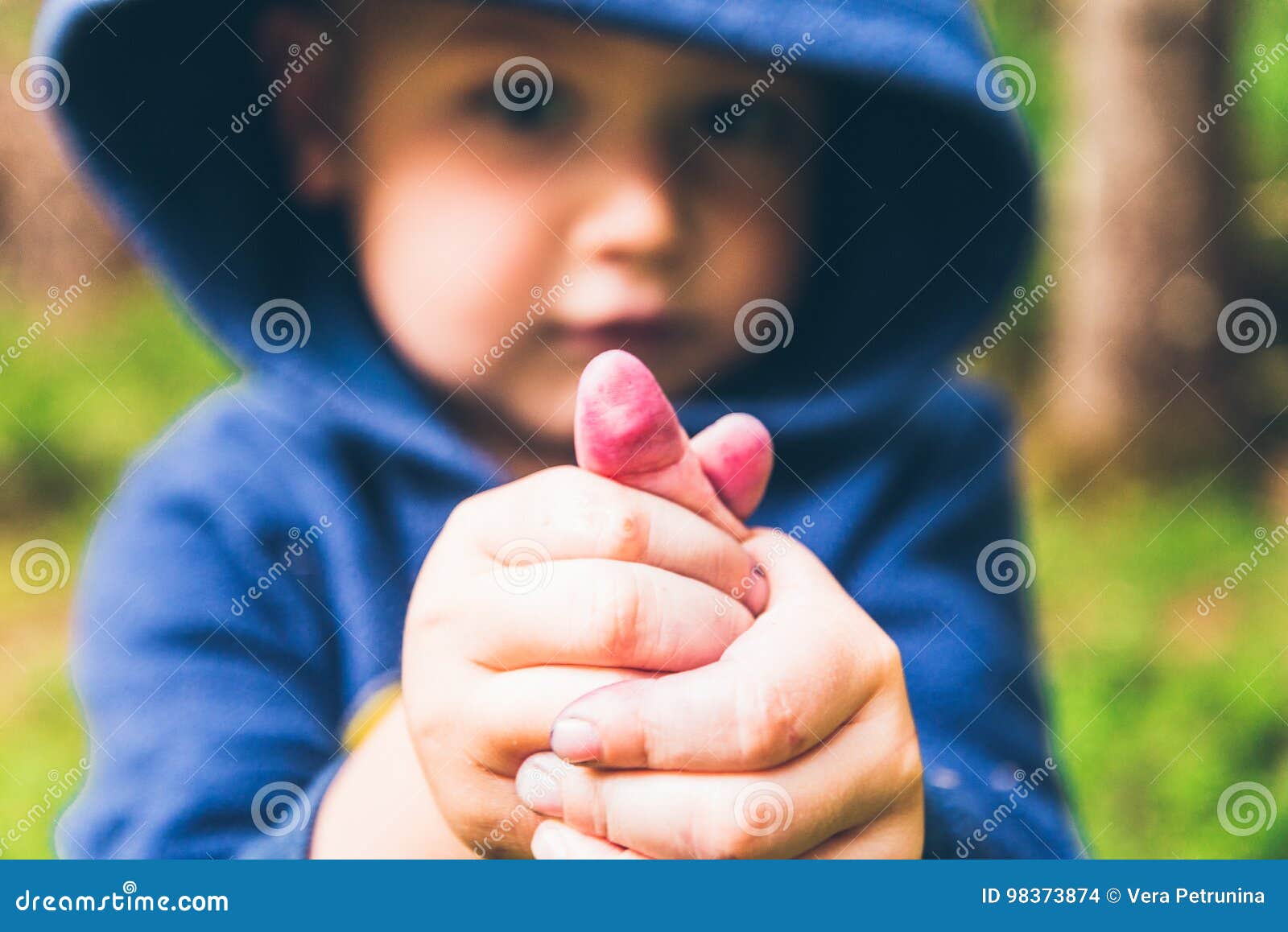 Little Kid Eat Blueberry in the Forest Stock Photo - Image of consume ...