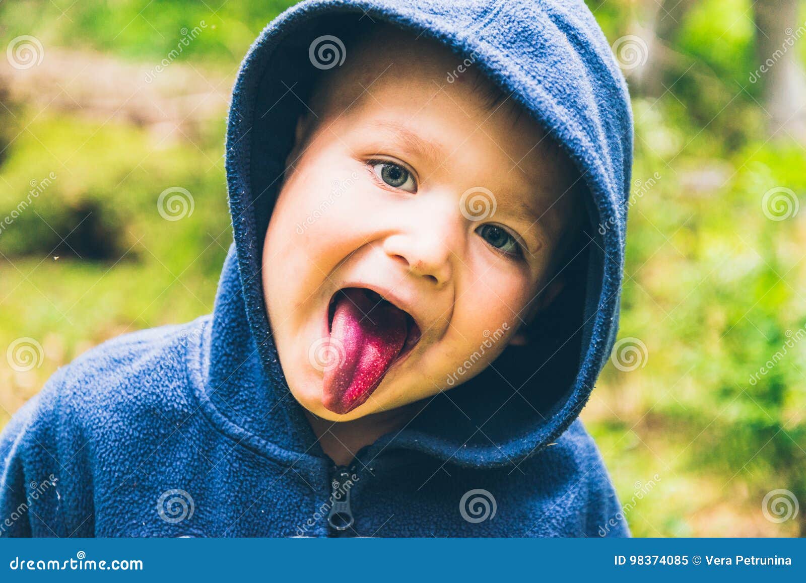 Little Kid Eat Blueberry in the Forest Stock Image - Image of active ...