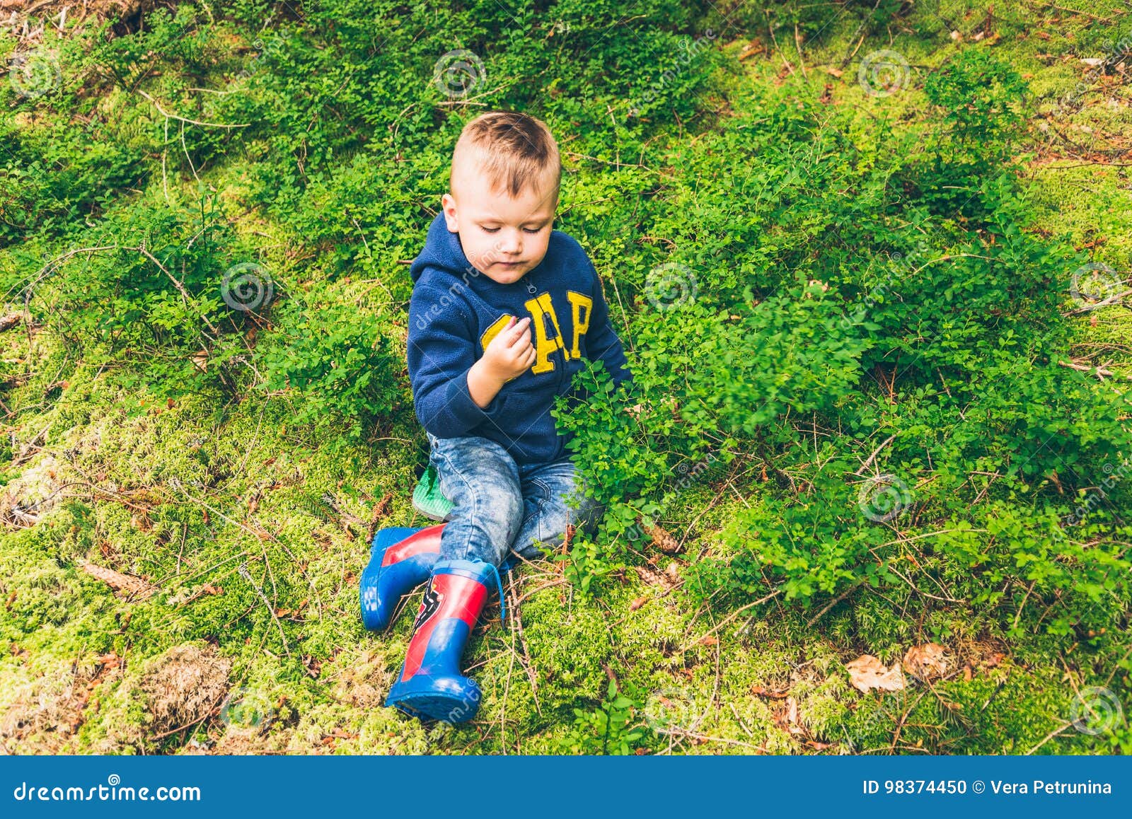 Little Kid Eat Blueberry in the Forest Stock Photo - Image of ...