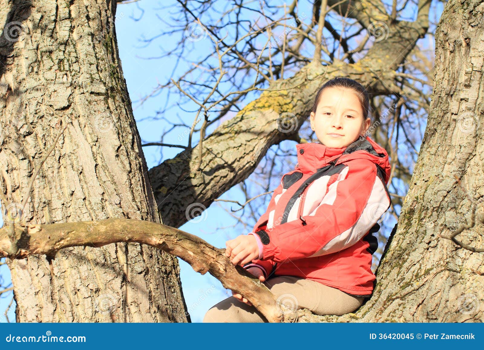 Little Kid - Girl Sitting on Tree Stock Image - Image of tree, happy ...