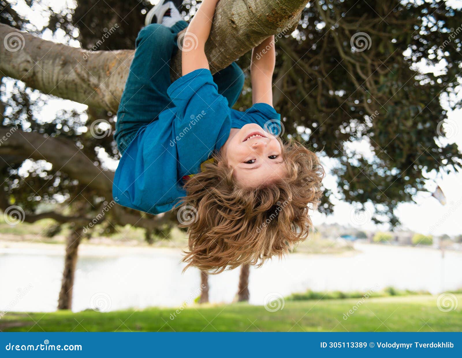 Little Kid on a Tree Branch. Baby Boy Climbs a Tree. Stock Image ...