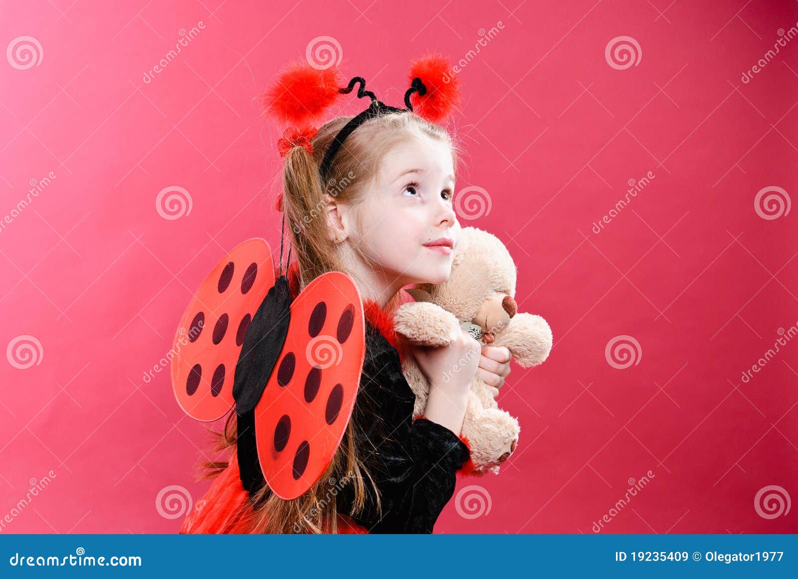 Little Ladybird stock image. Image of ladybird, adorable - 19235409