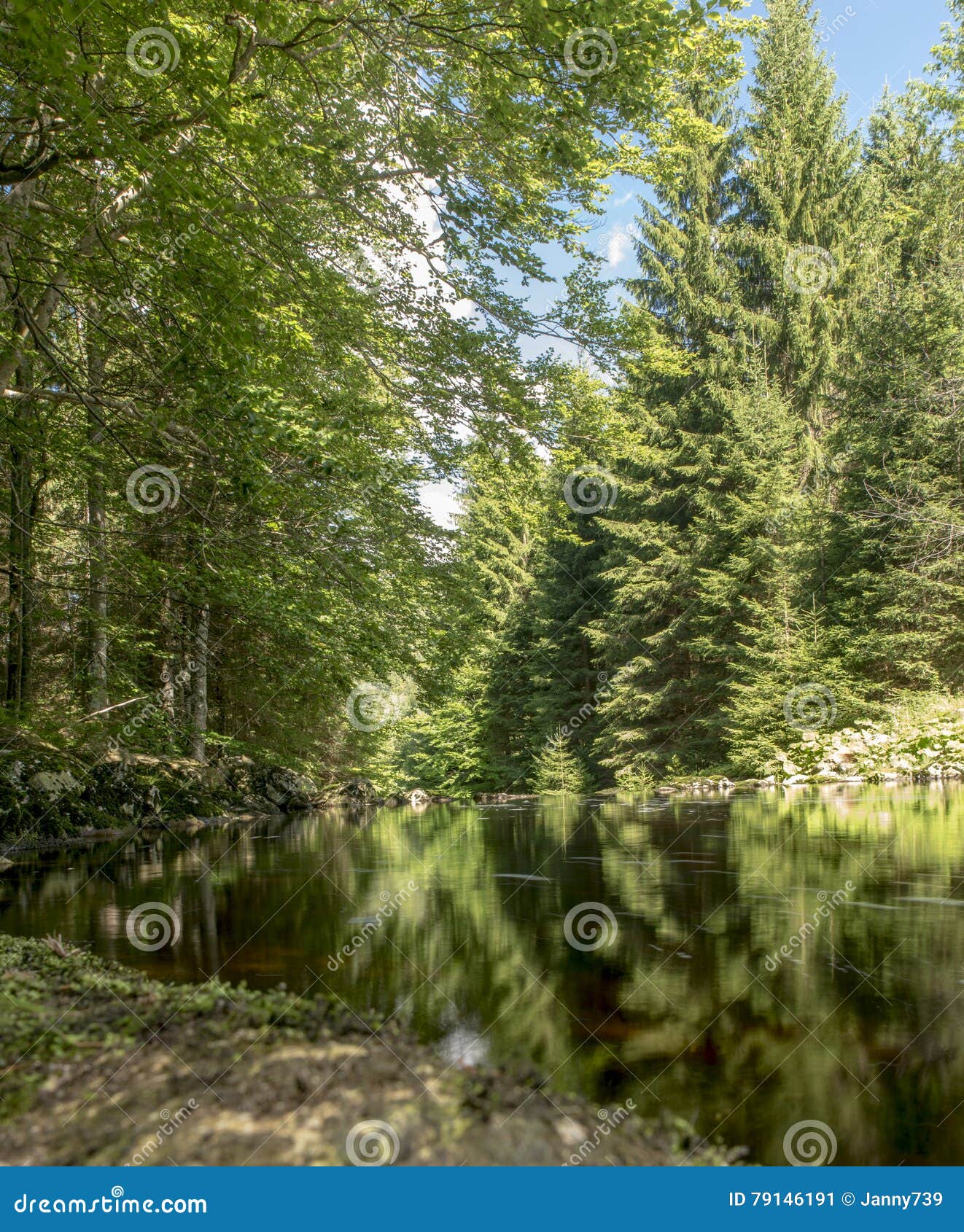 Little lake in the forest stock image. Image of hike - 79146191