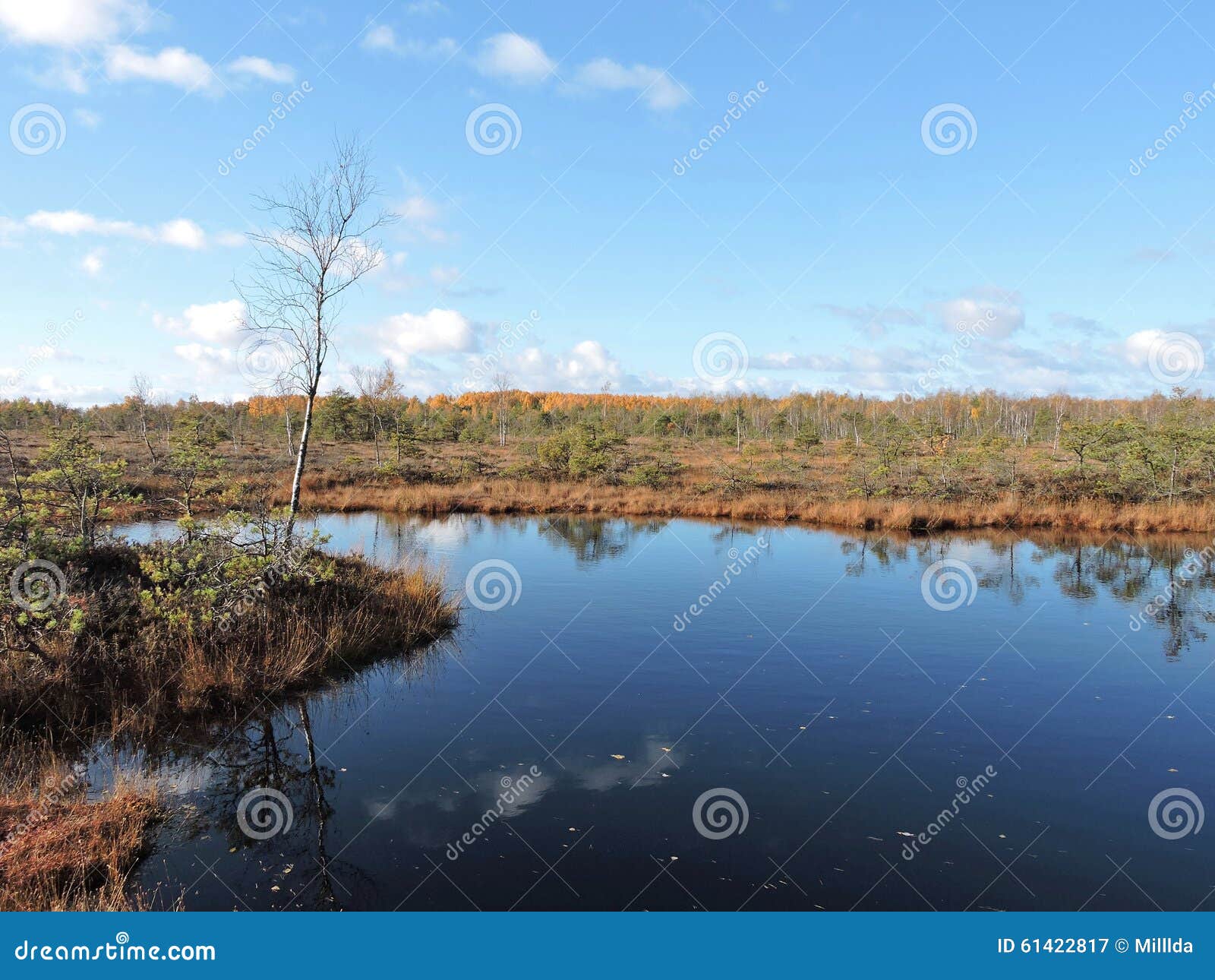 Little lake in moor stock image. Image of peatbog, water - 61422817