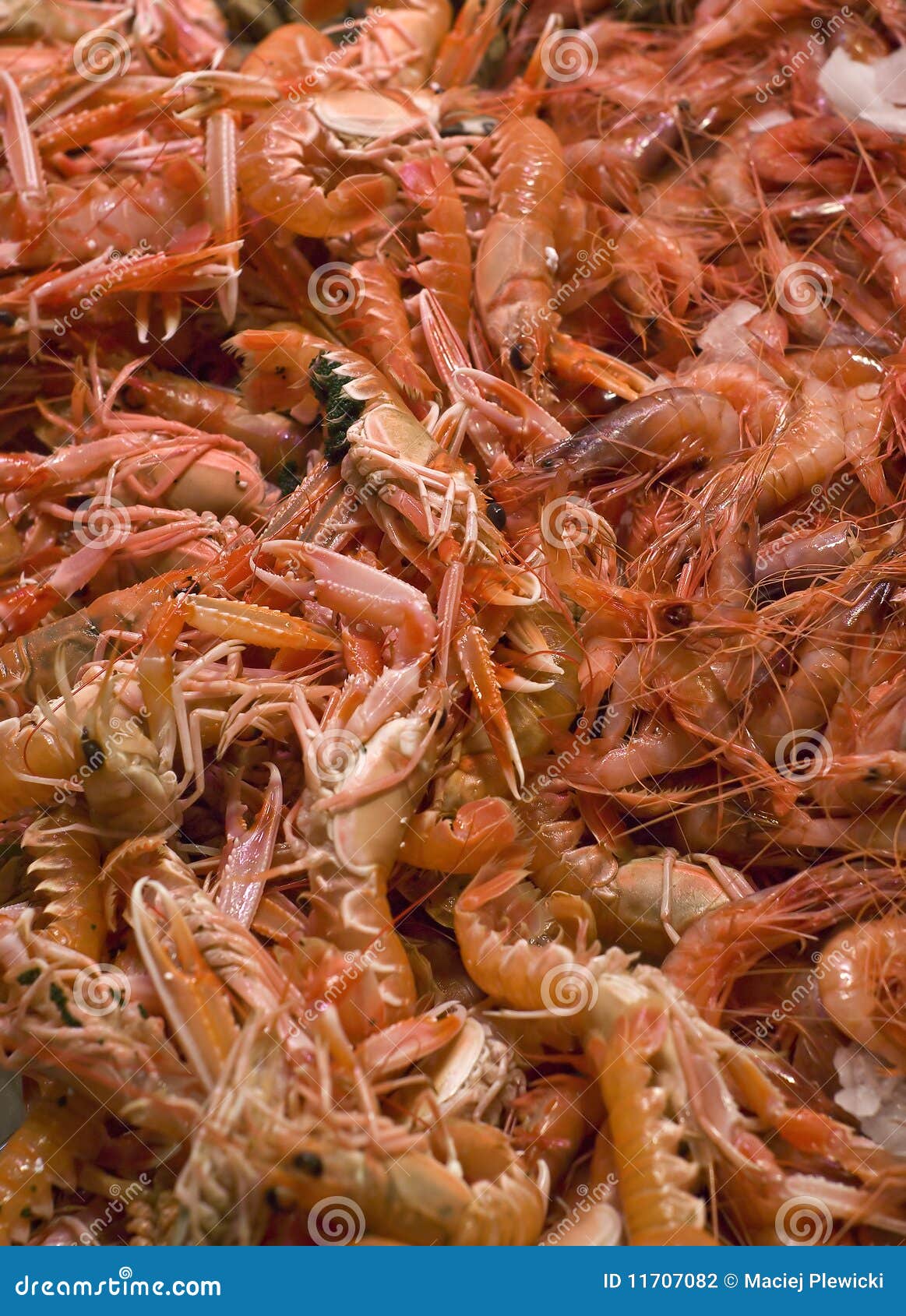 Little lobsters stock photo. Image of luxury, healthy - 11707082