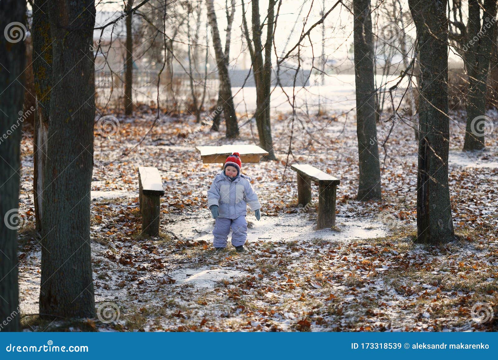 Little Lonely Boy in the Winter in the Woods Stock Image - Image of ...