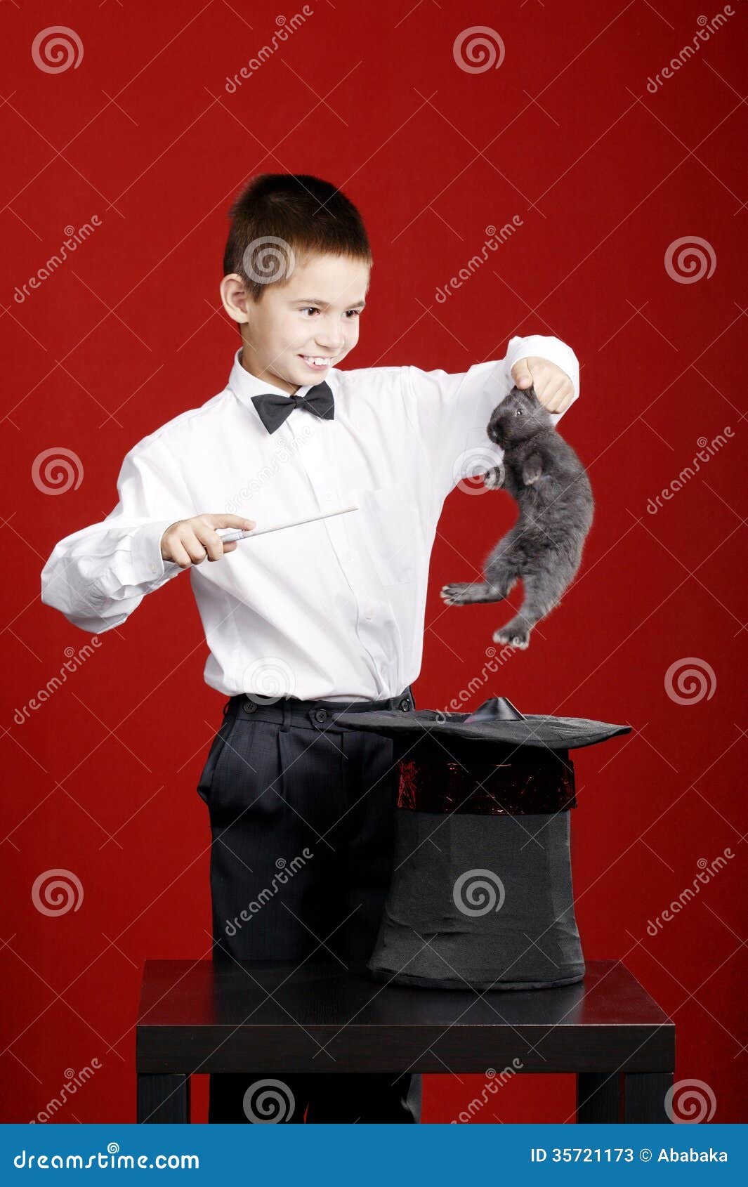 Little Magician with Rabbit Stock Image - Image of child, health: 35721173