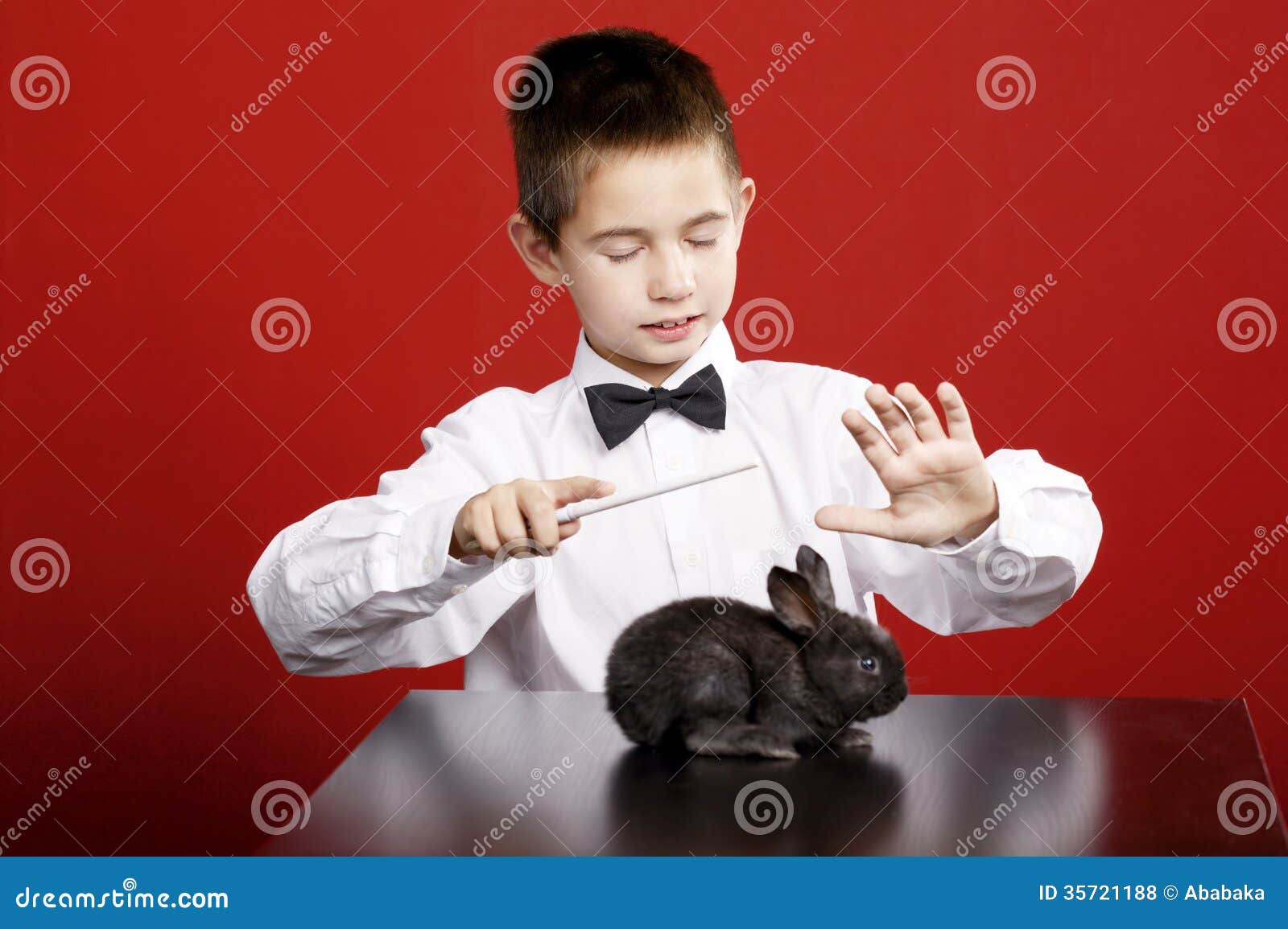Little Magician with Rabbit Stock Photo - Image of beautiful, pulling ...