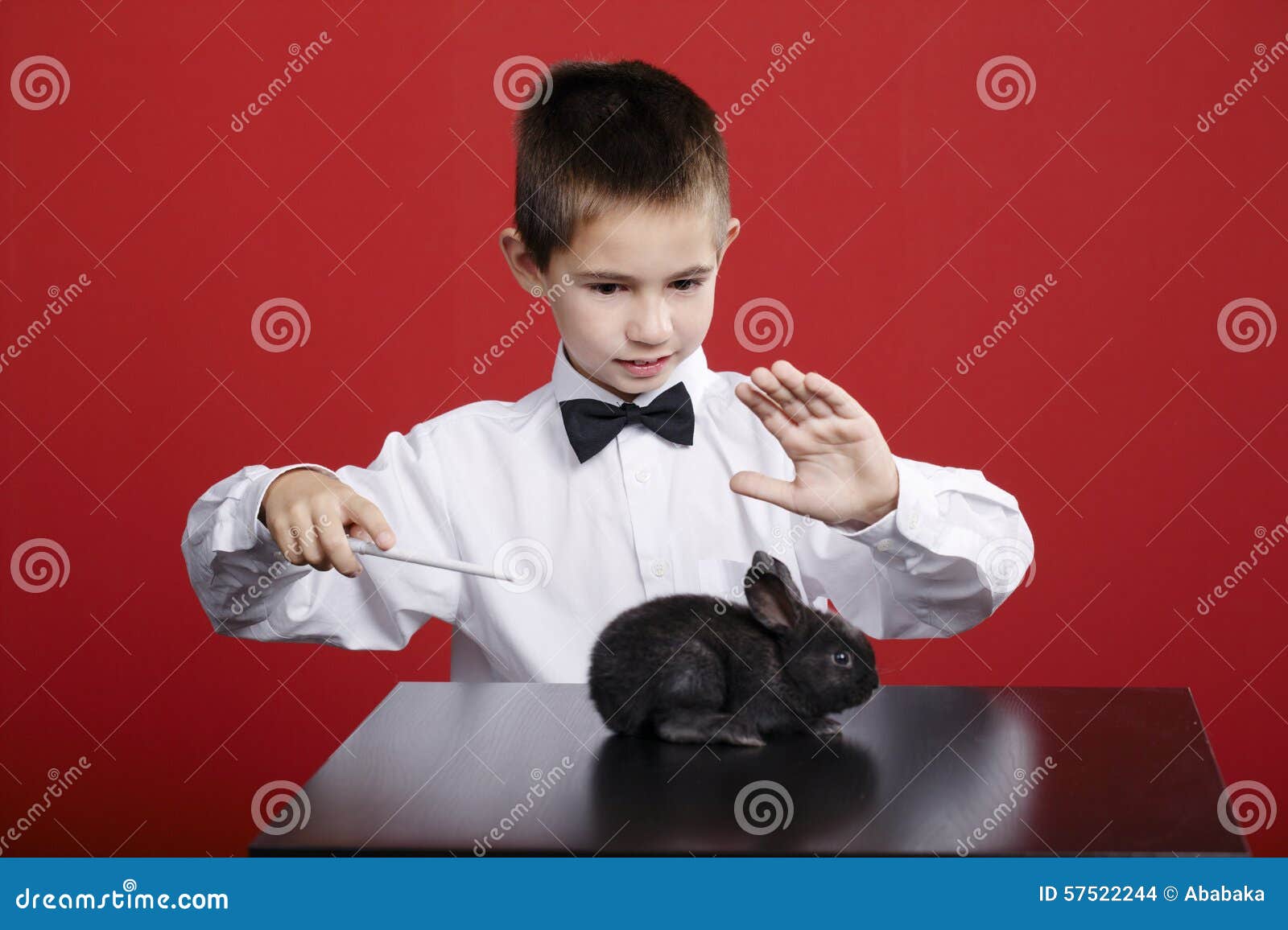 Little Magician with Rabbit Stock Photo - Image of magician, children ...