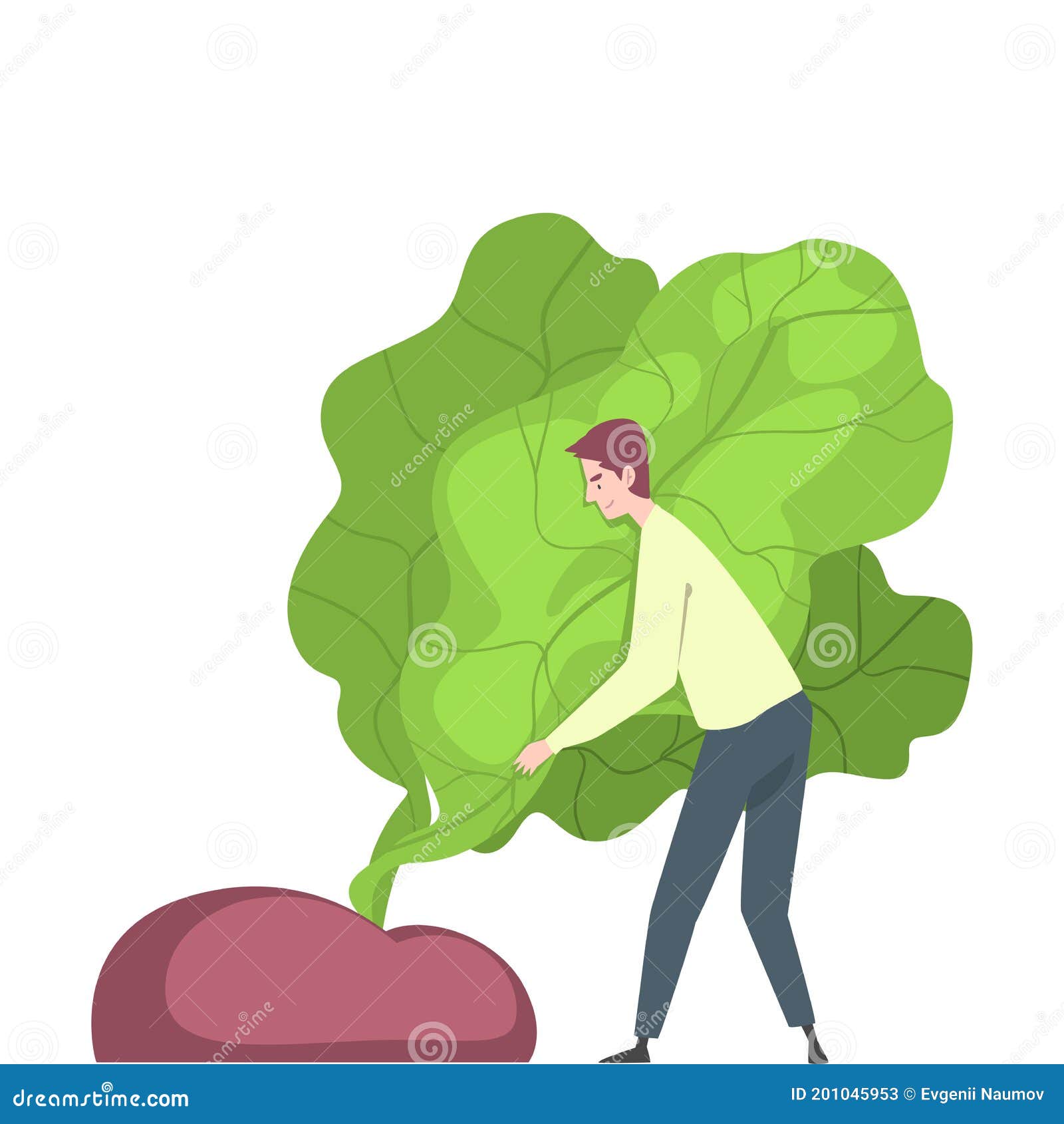 Little Man Pulling Huge Beet Out of the Ground Vector Illustration ...