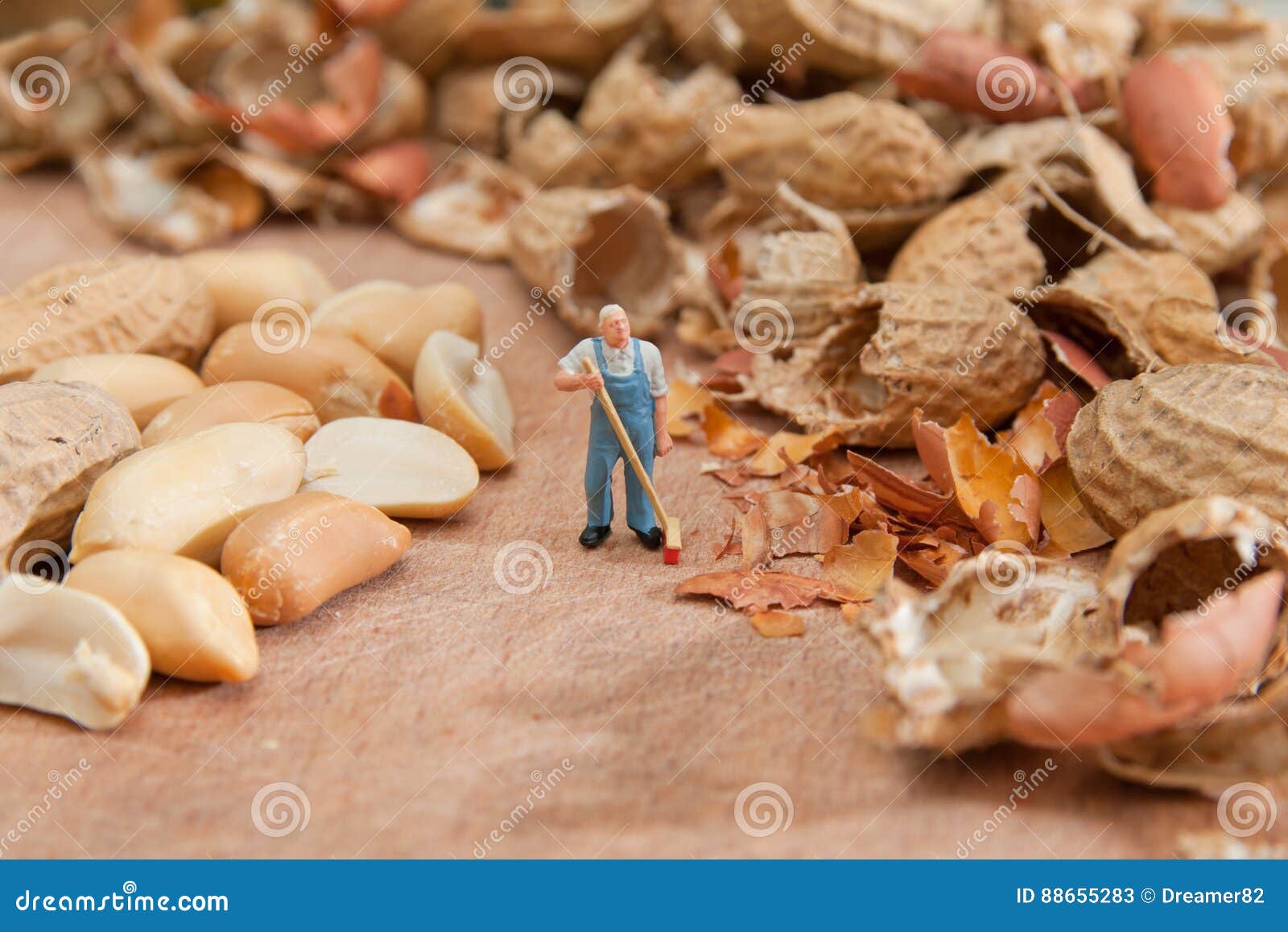 The Little Man Sweeps Shell Peanuts. the Concept of Work, Keeping Order ...