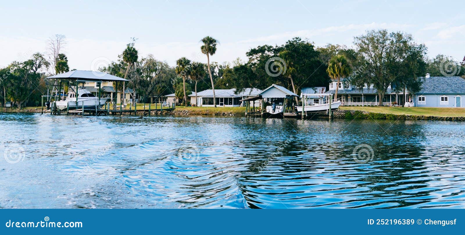 Little Manatee River stock image. Image of green, grass - 252196389
