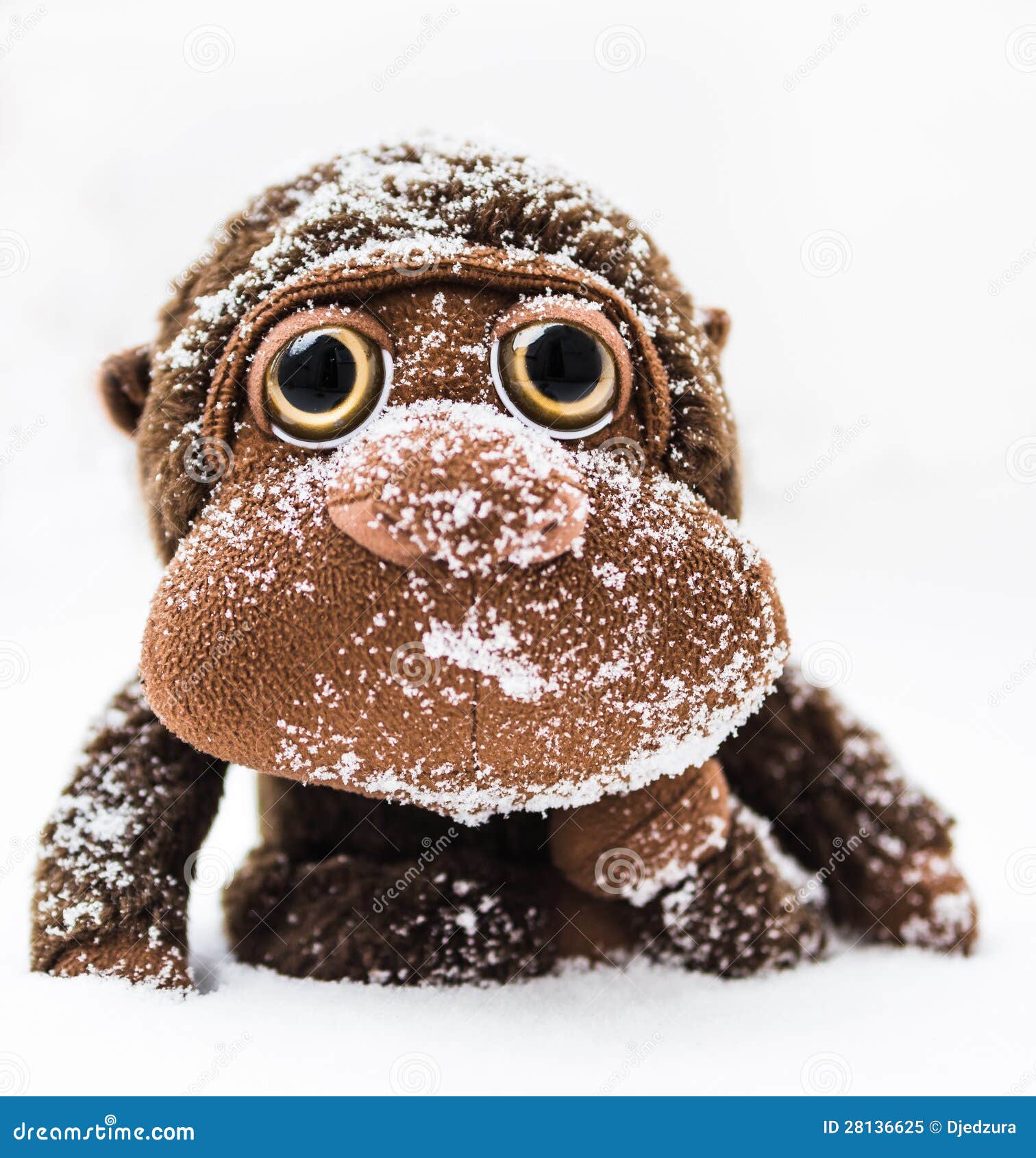 Little Monkey Plush Freezing Covered by Snow Stock Image - Image of ...
