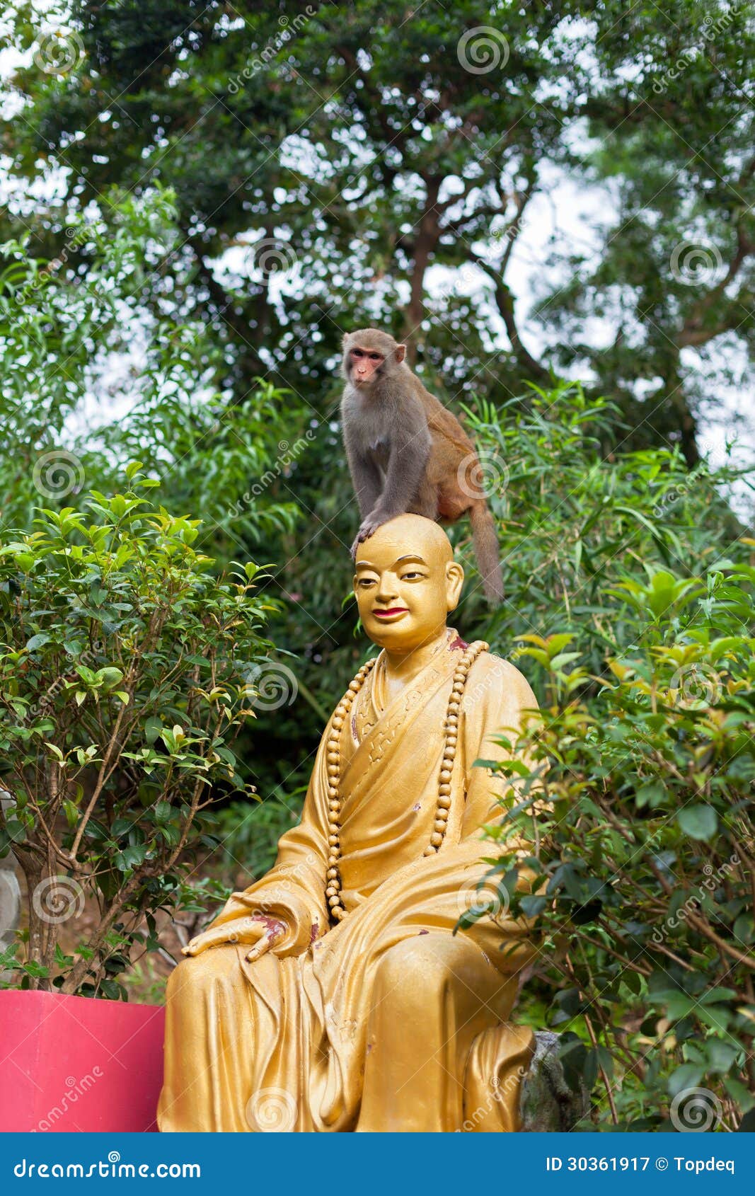 Little Monkey is Sitting on Buddha Statue Head Stock Image - Image of ...