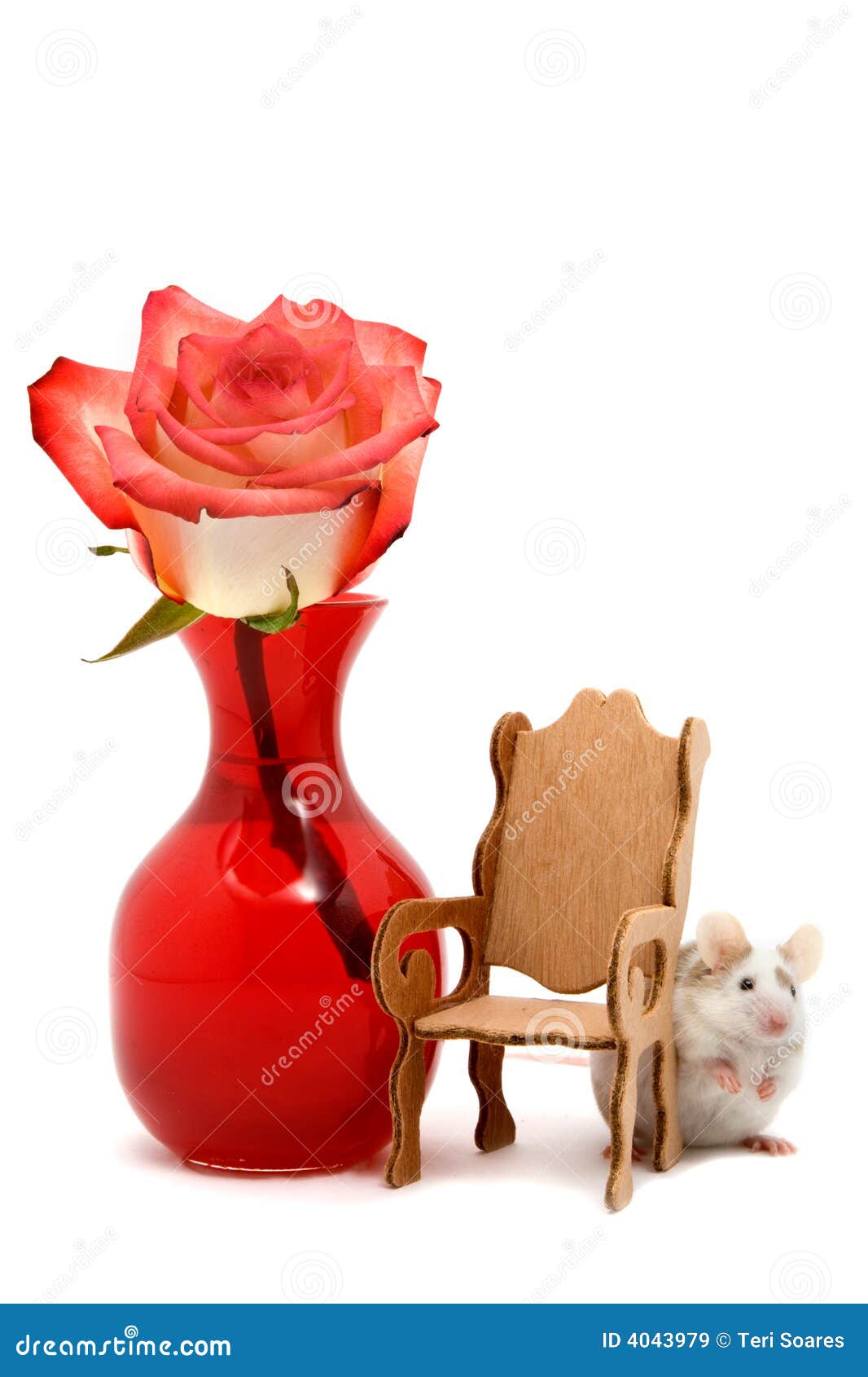 105 Little Mouse Behind Stock Photos - Free & Royalty-Free Stock Photos ...