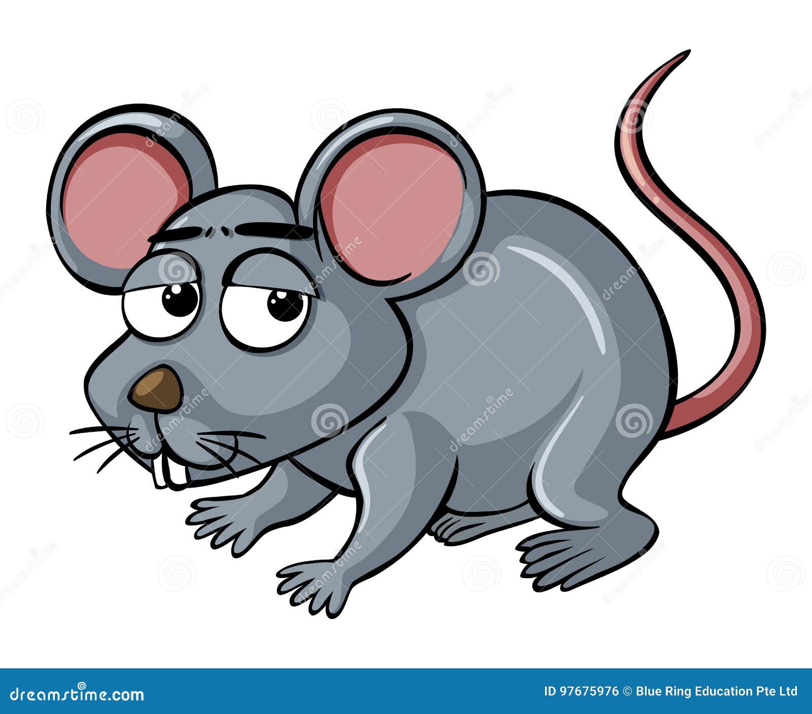 Little mouse with sad face stock vector. Illustration of animal - 97675976