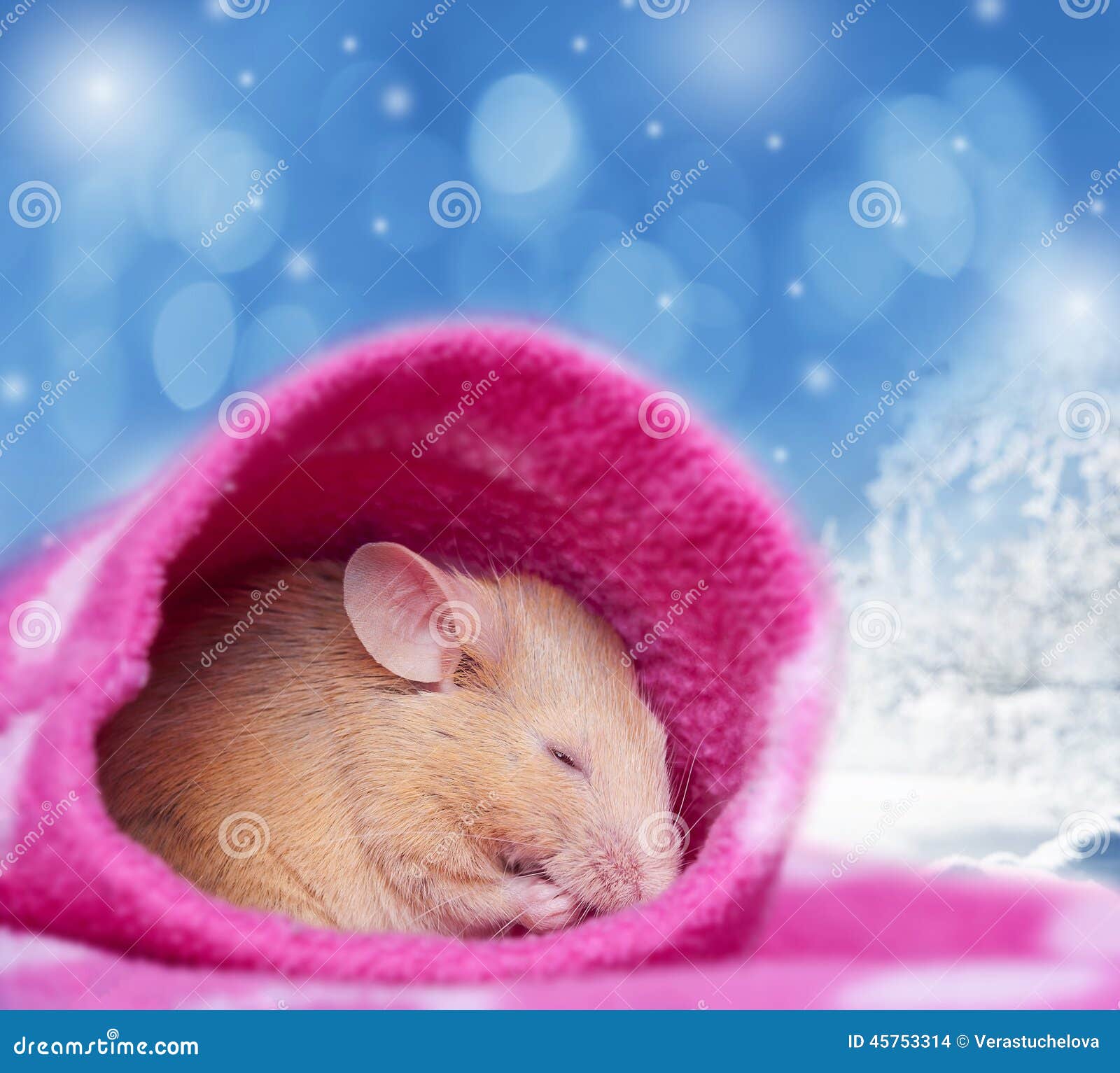 Little Mouse Sleeping in a Sleeve Stock Photo - Image of pink, darling ...