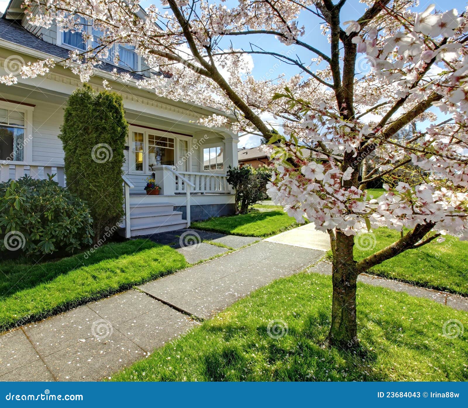 Little Old Cute House with a Blooming Cherry Tree. Stock Image - Image ...