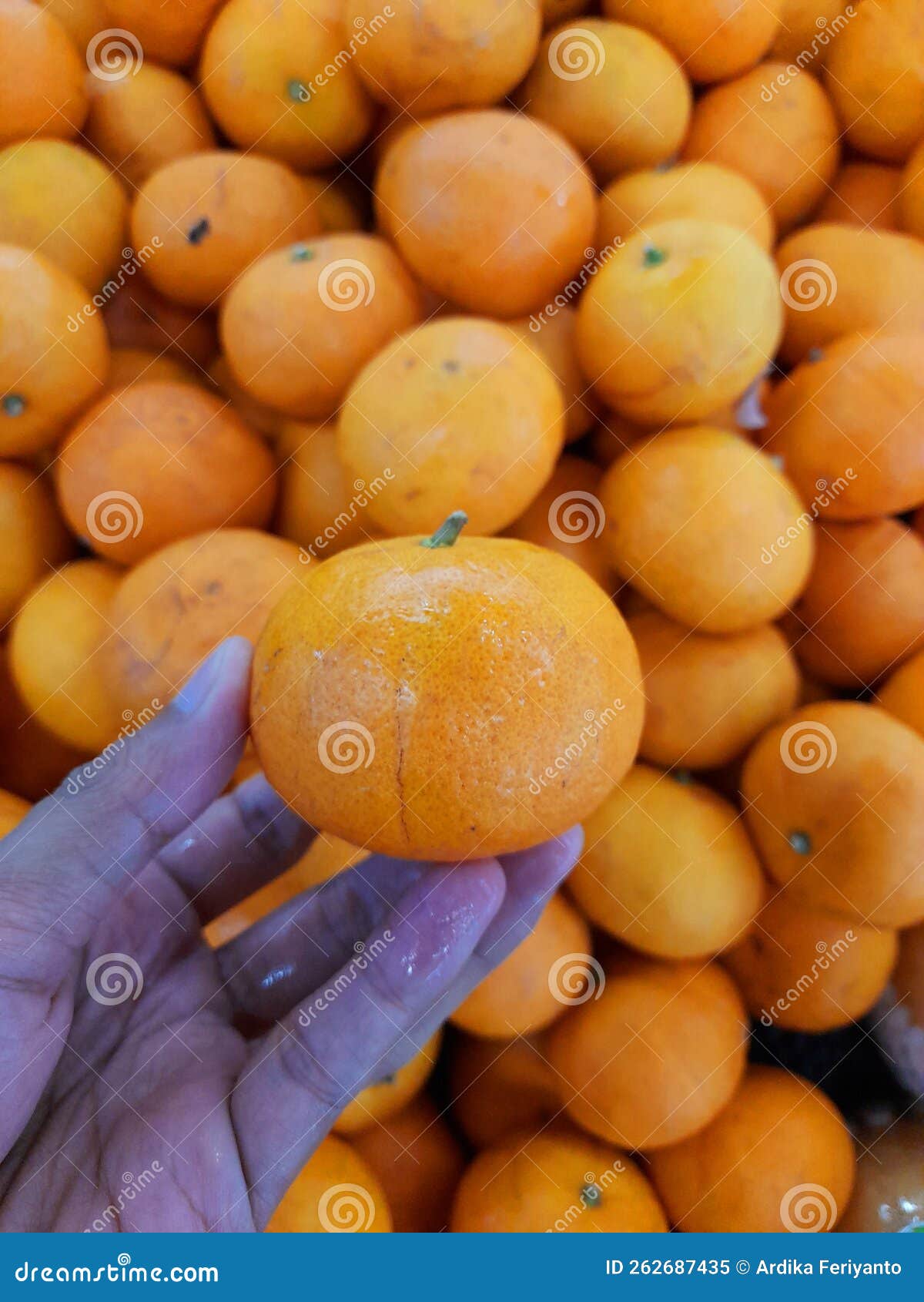 Little Orange Fruits with Hand Stock Image - Image of fresh, hand ...
