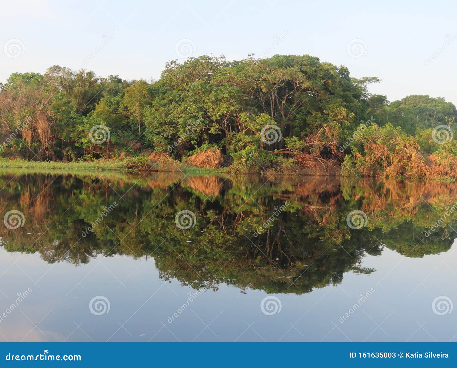 A Little Paradise in the Middle of the Amazon Rainforest Full of Peace ...