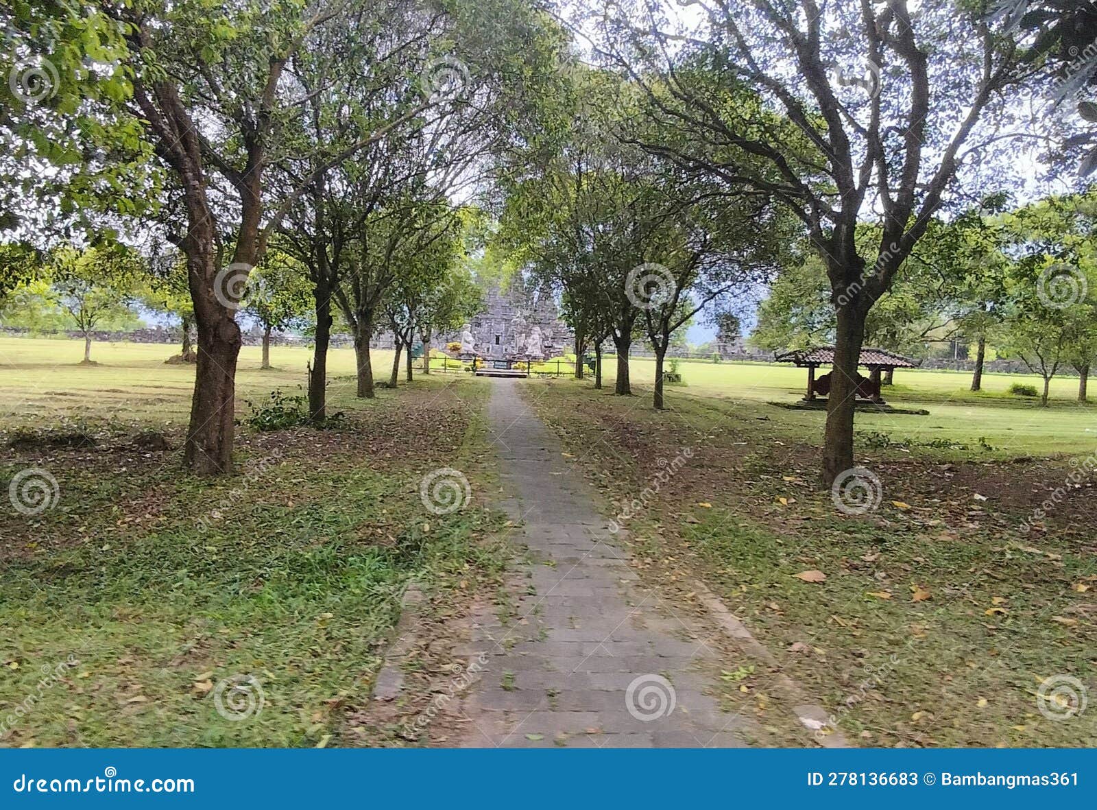 Little Path on the Green Grass Stock Image - Image of nature, little ...