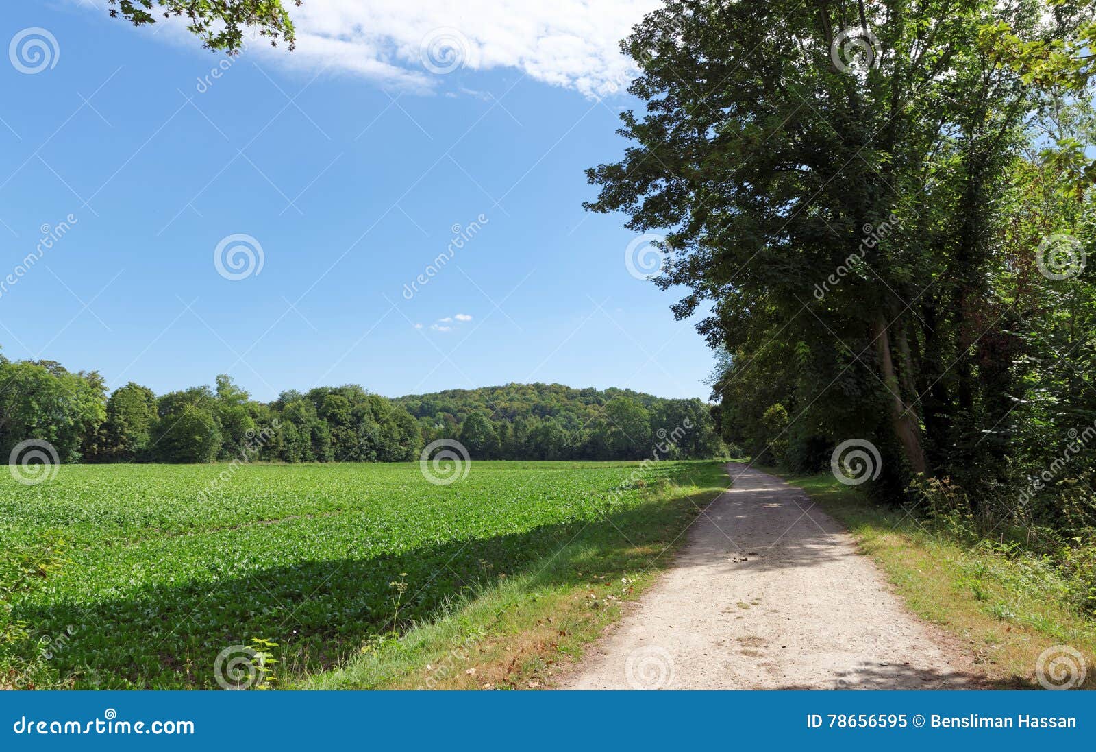 Little Path in Picardy Region Stock Image - Image of path, tourism ...