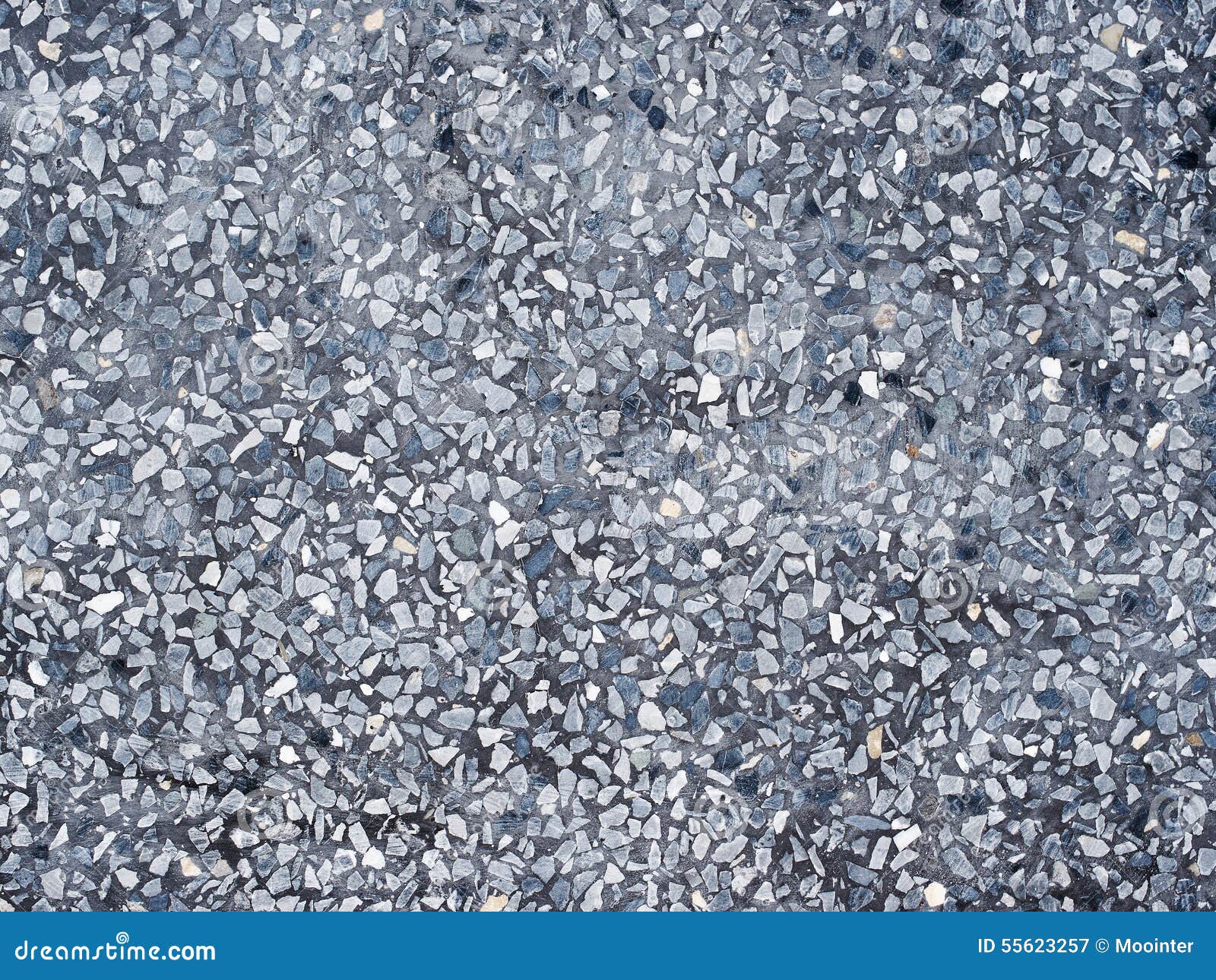 Little Sea Pebbles. Sea Shingles. Royalty-Free Stock Photography ...