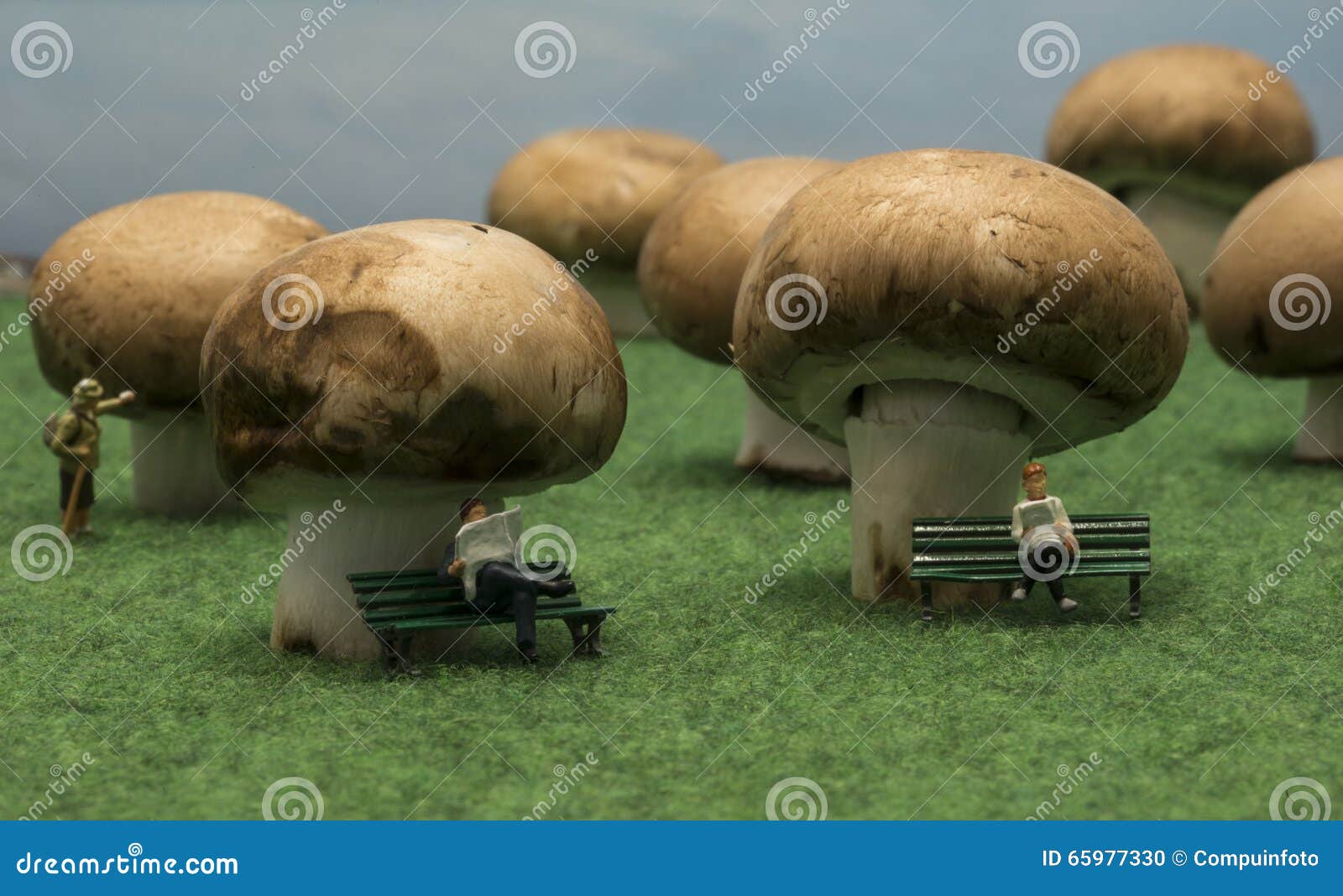 Little People Puppets Sit on Mushrooms in Forest Stock Photo - Image of ...
