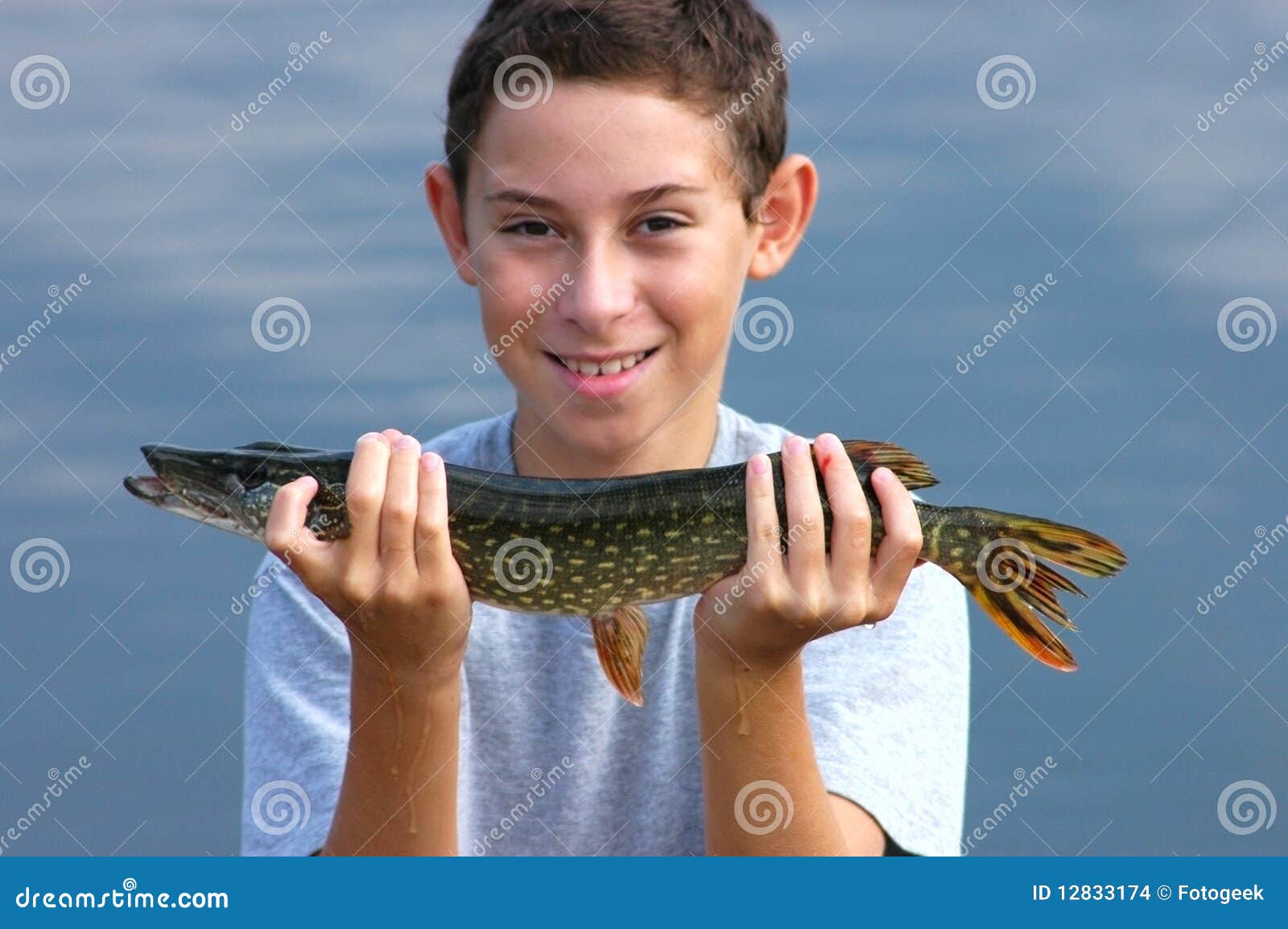 Little Pike stock photo. Image of gills, ventral, capture - 12833174