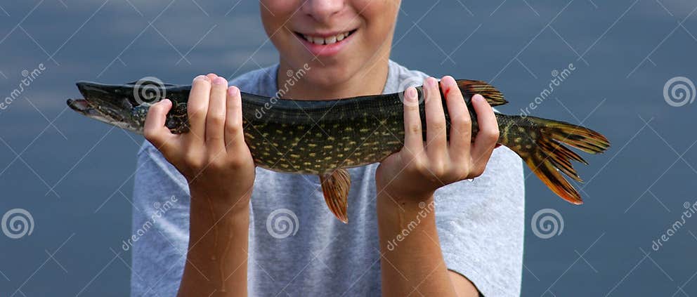 Little Pike stock photo. Image of skilful, spots, bait - 2100446